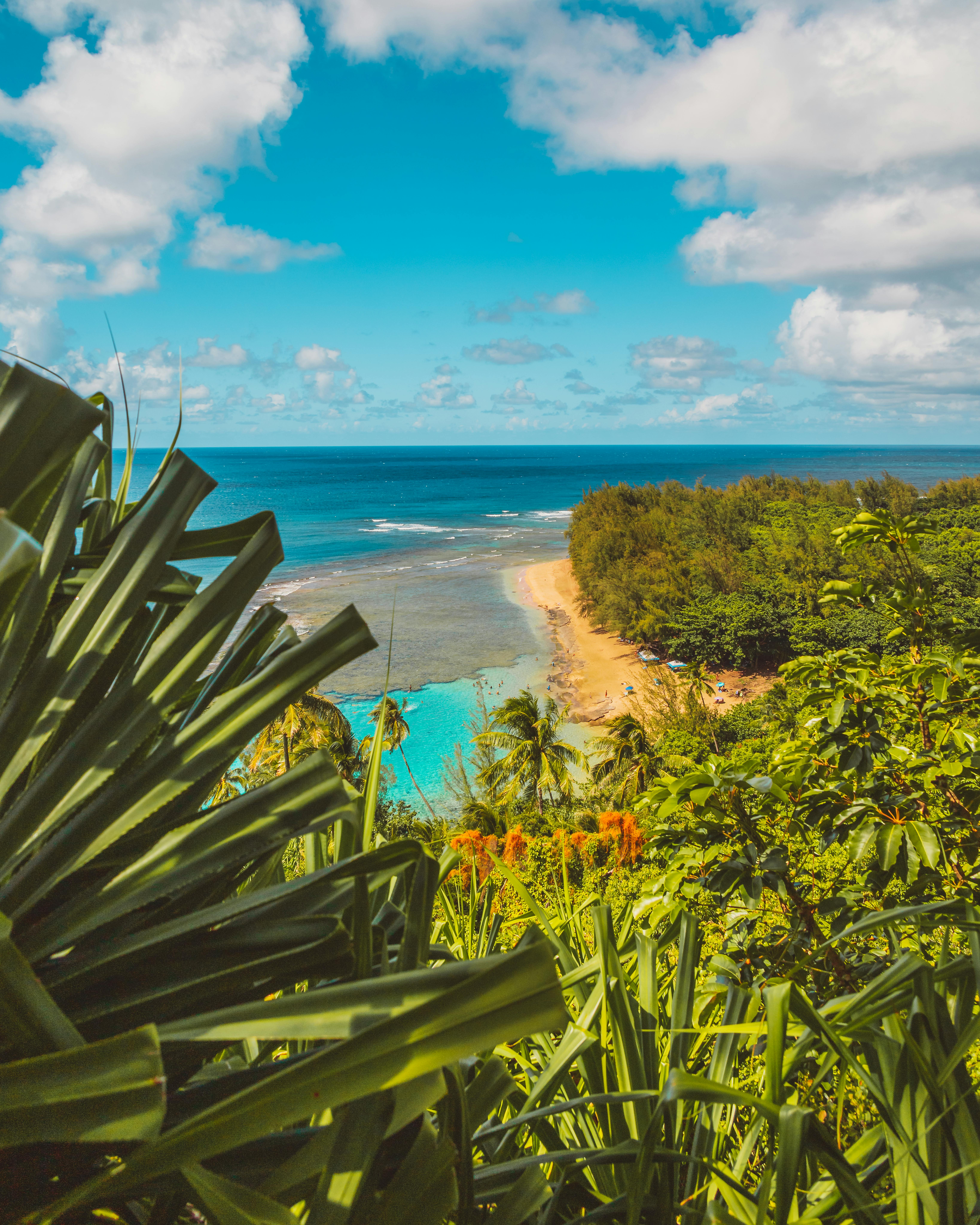 Tropical Beach on Sea Shore · Free Stock Photo