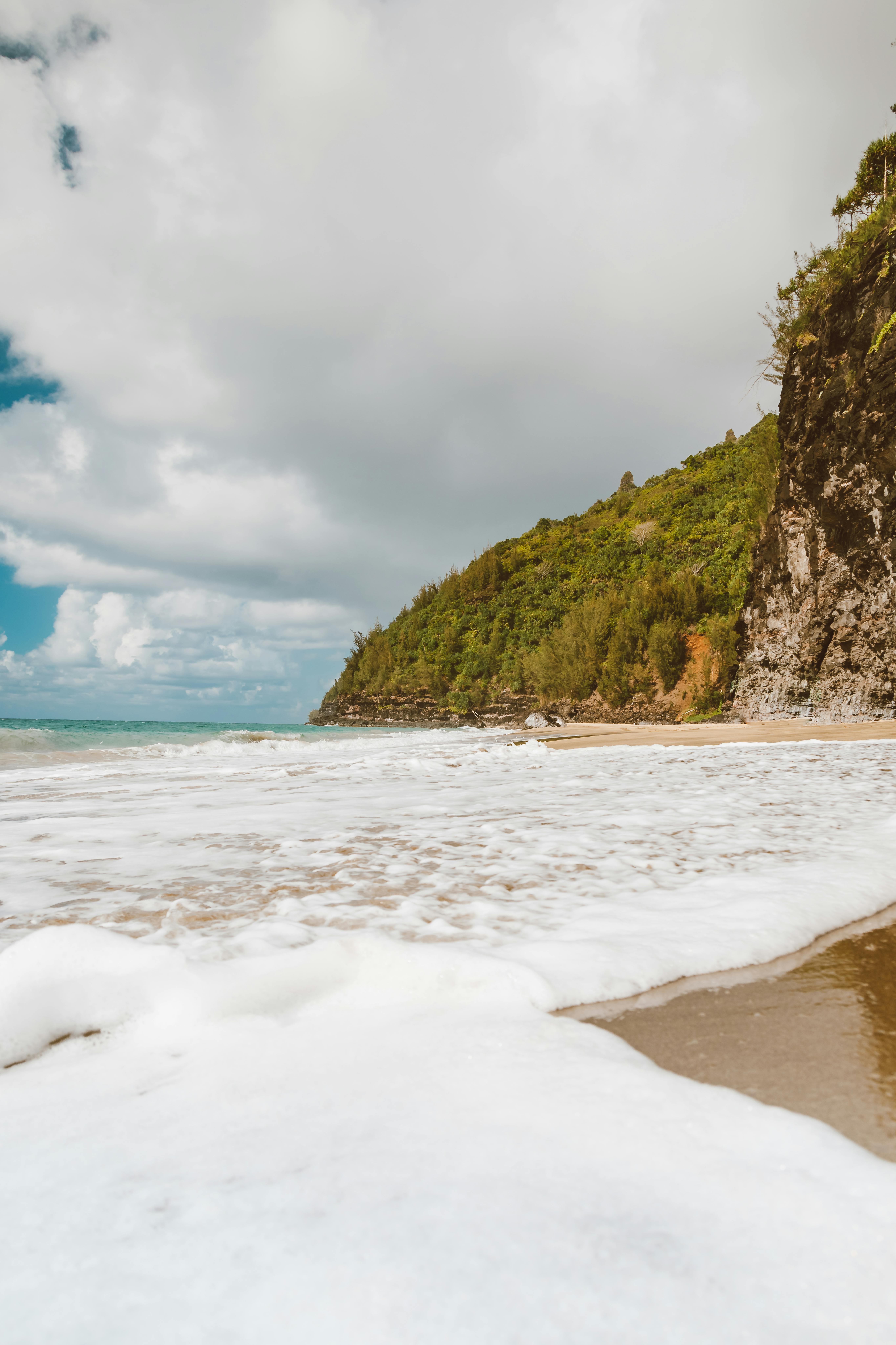 Sea Foam on the Shore · Free Stock Photo