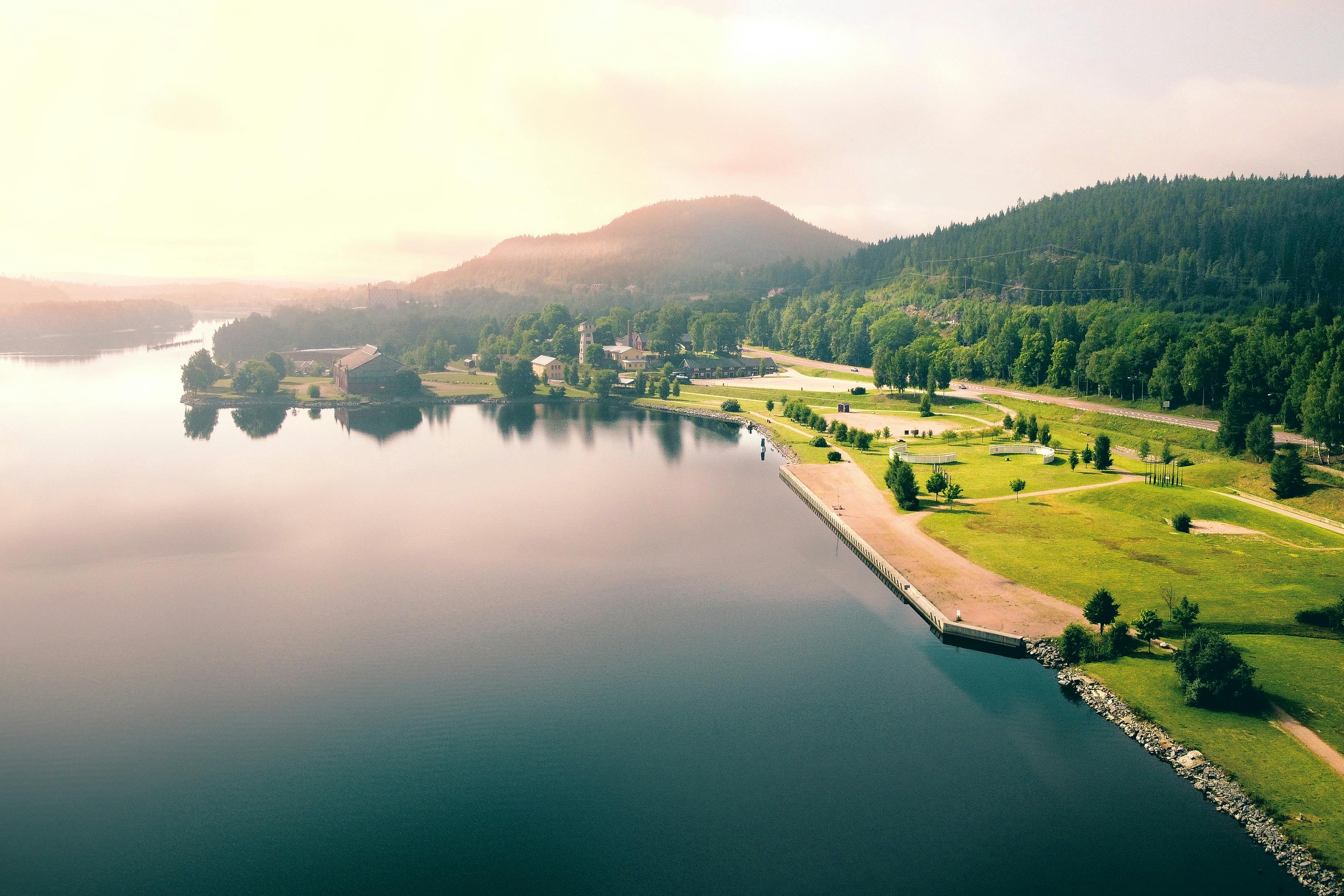 Green Grass Field Surrounded by Trees · Free Stock Photo