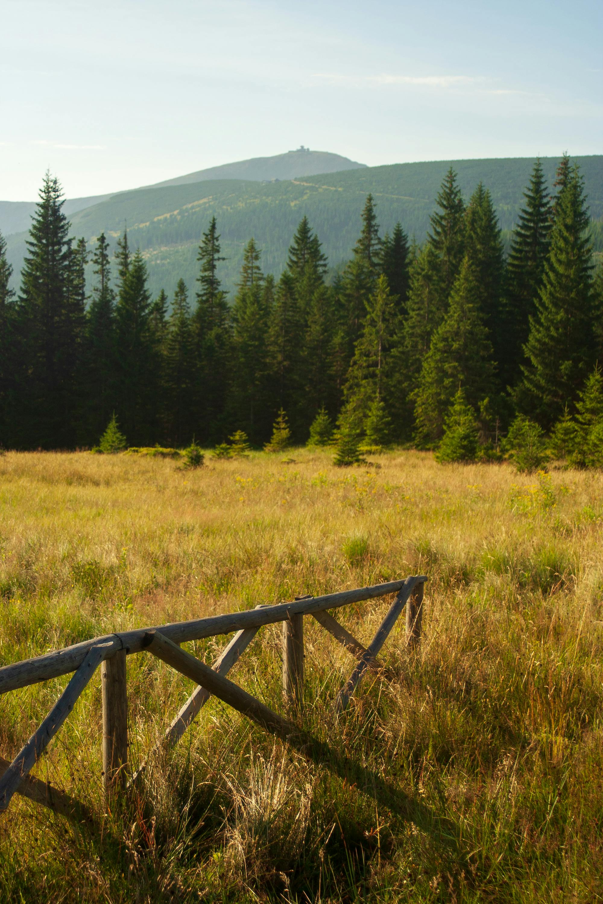 Landscape of a Field, Forest and Mountains in the Background · Free ...