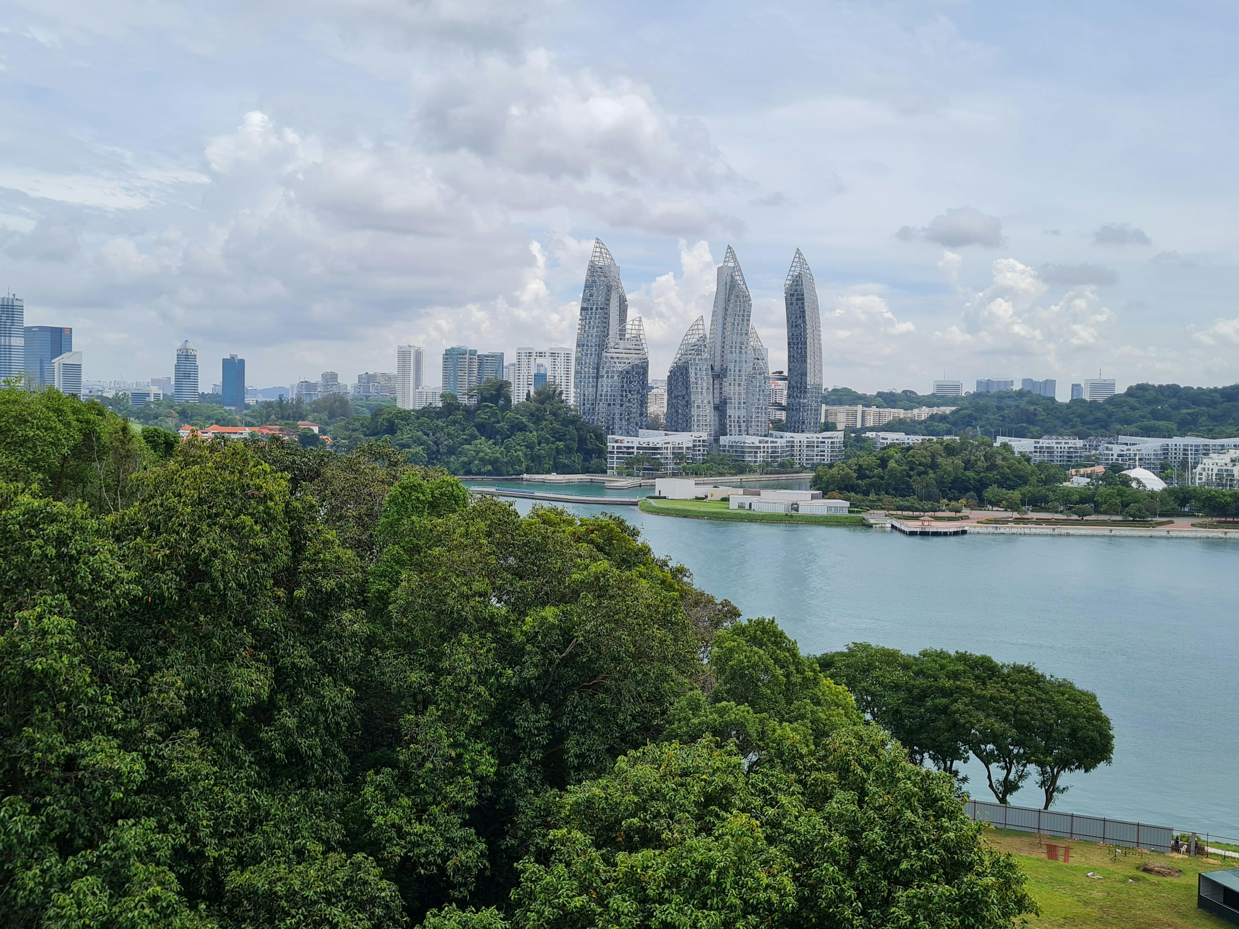 A Park Near Buildings and a Body of Water · Free Stock Photo