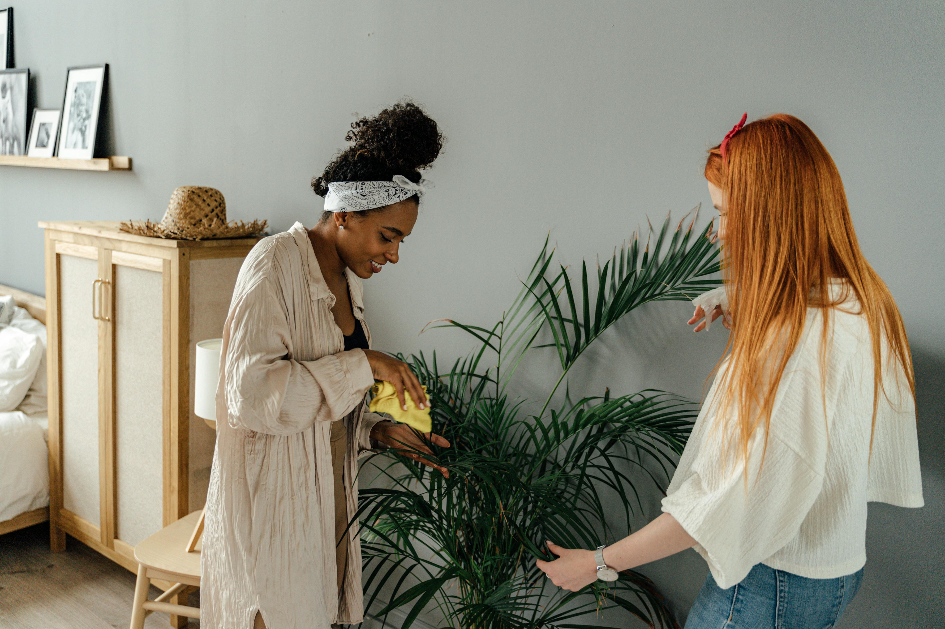 House Chores Photos, Download The BEST Free House Chores Stock Photos ...