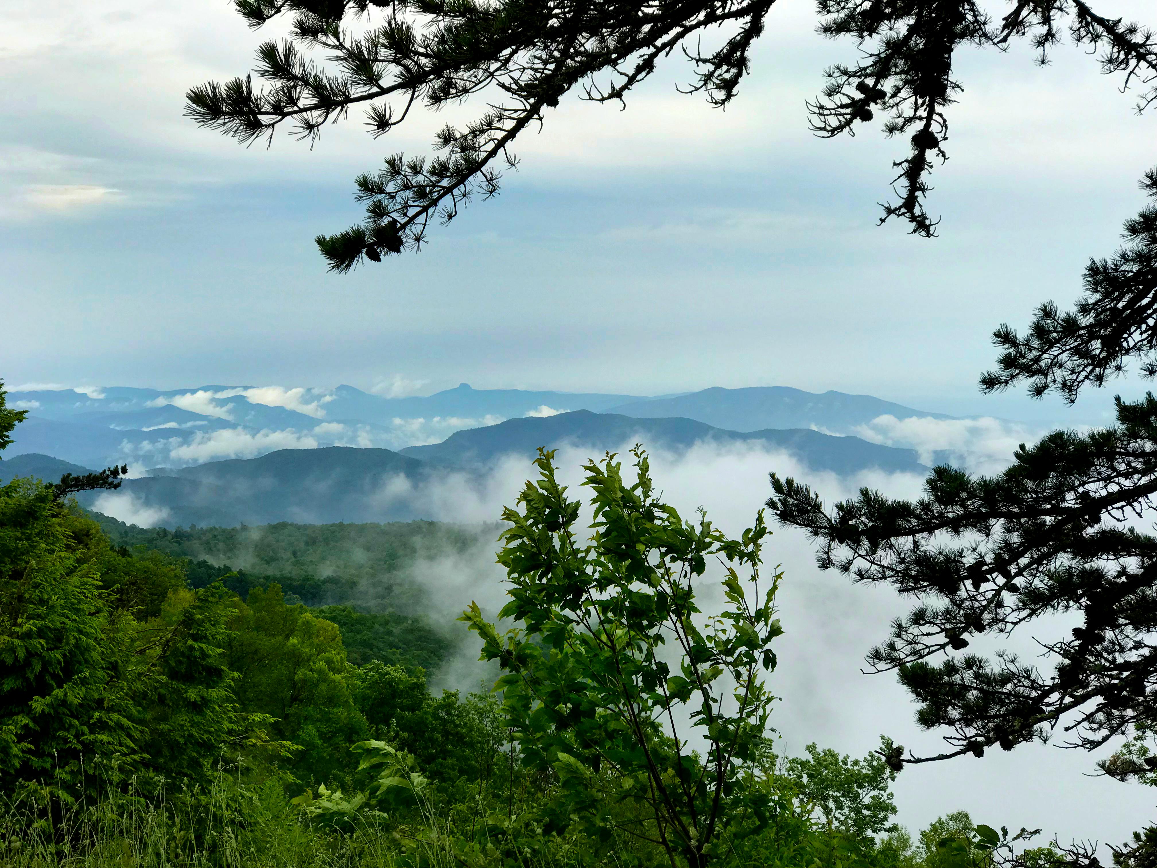 Lynn Nash · Photography