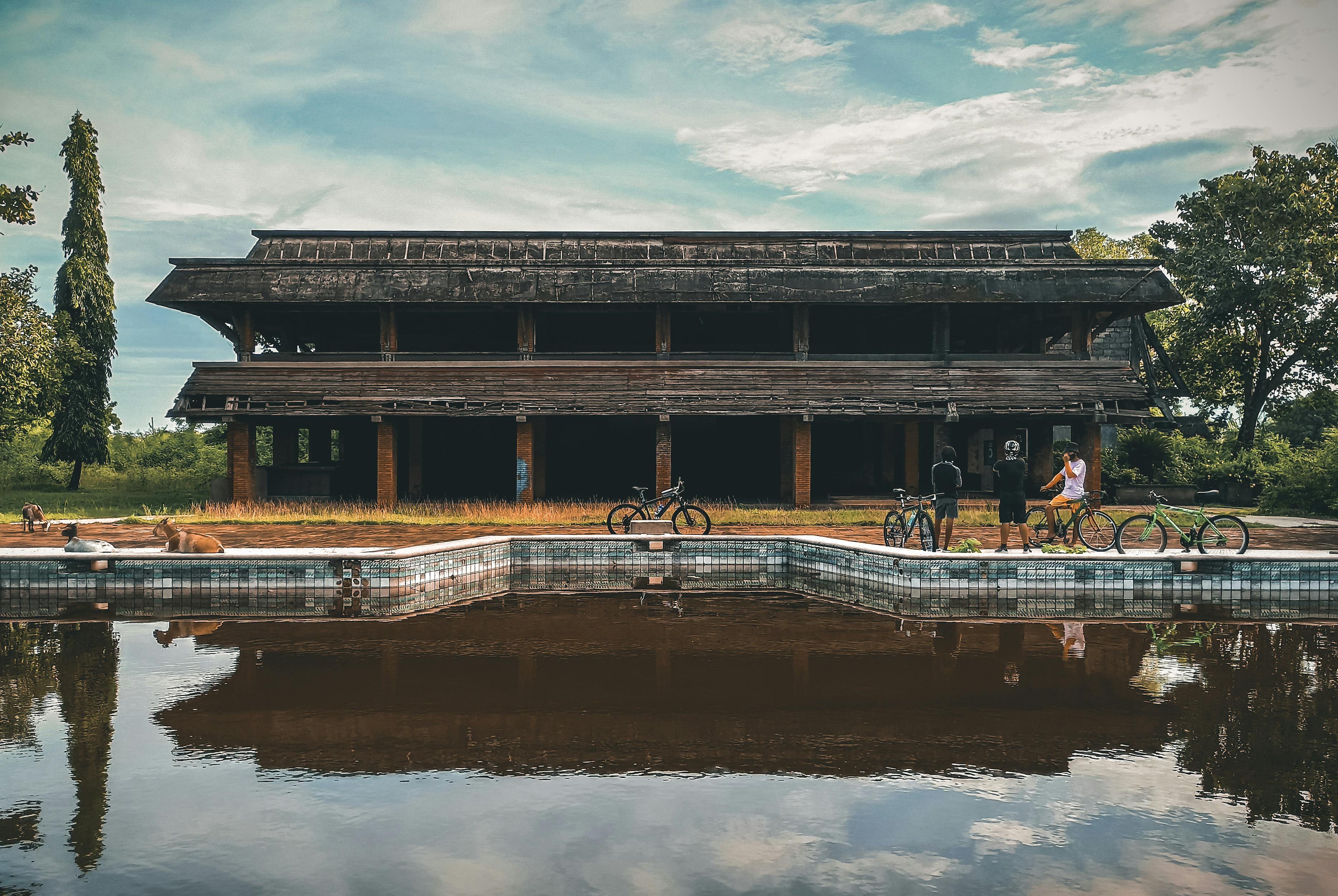 7,000+ Best Broken Lily Photos · 100% Free Download · Pexels Stock Photos