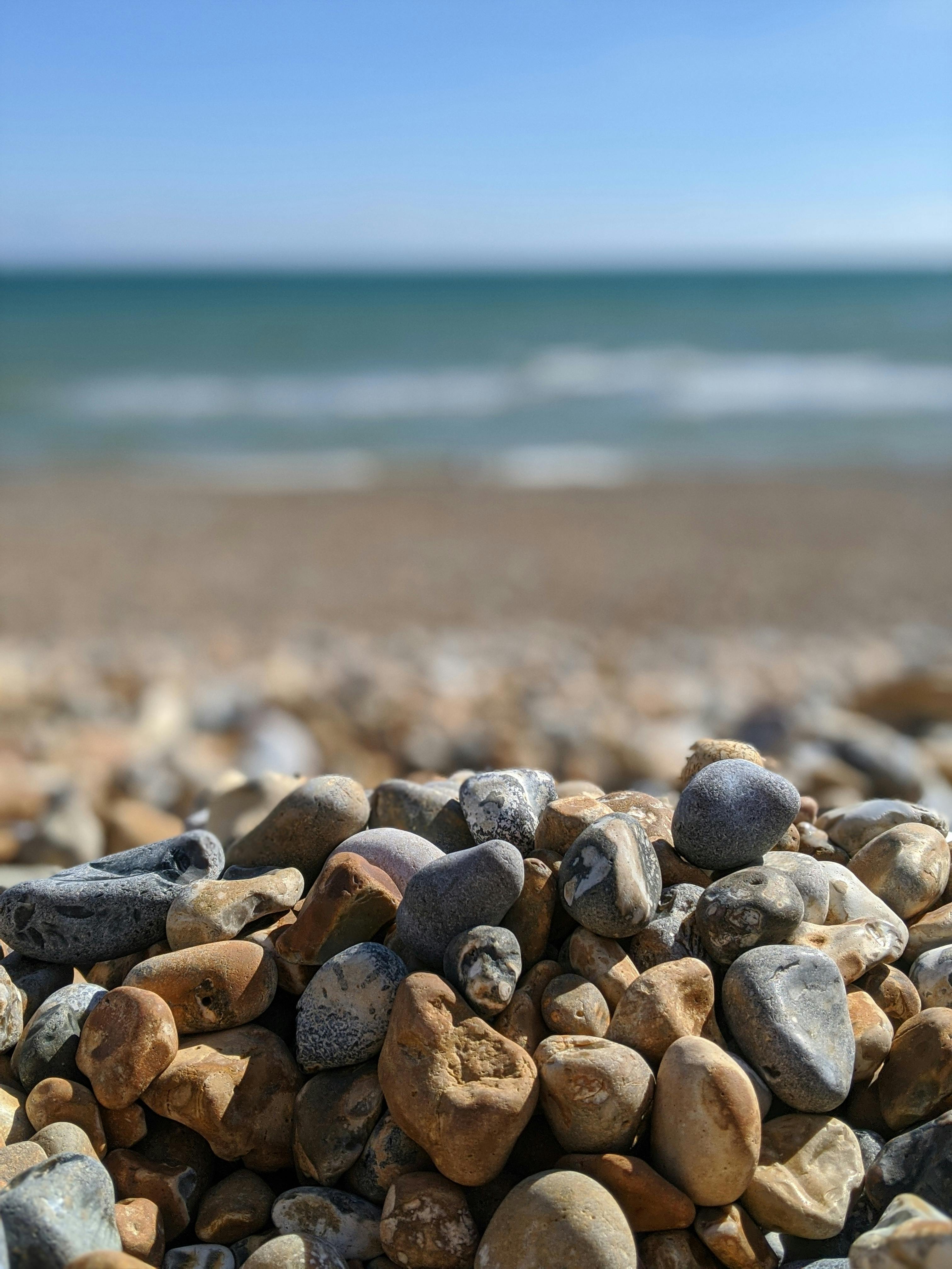 Circular Polaroid Photo of a Beach and Sea · Free Stock Photo