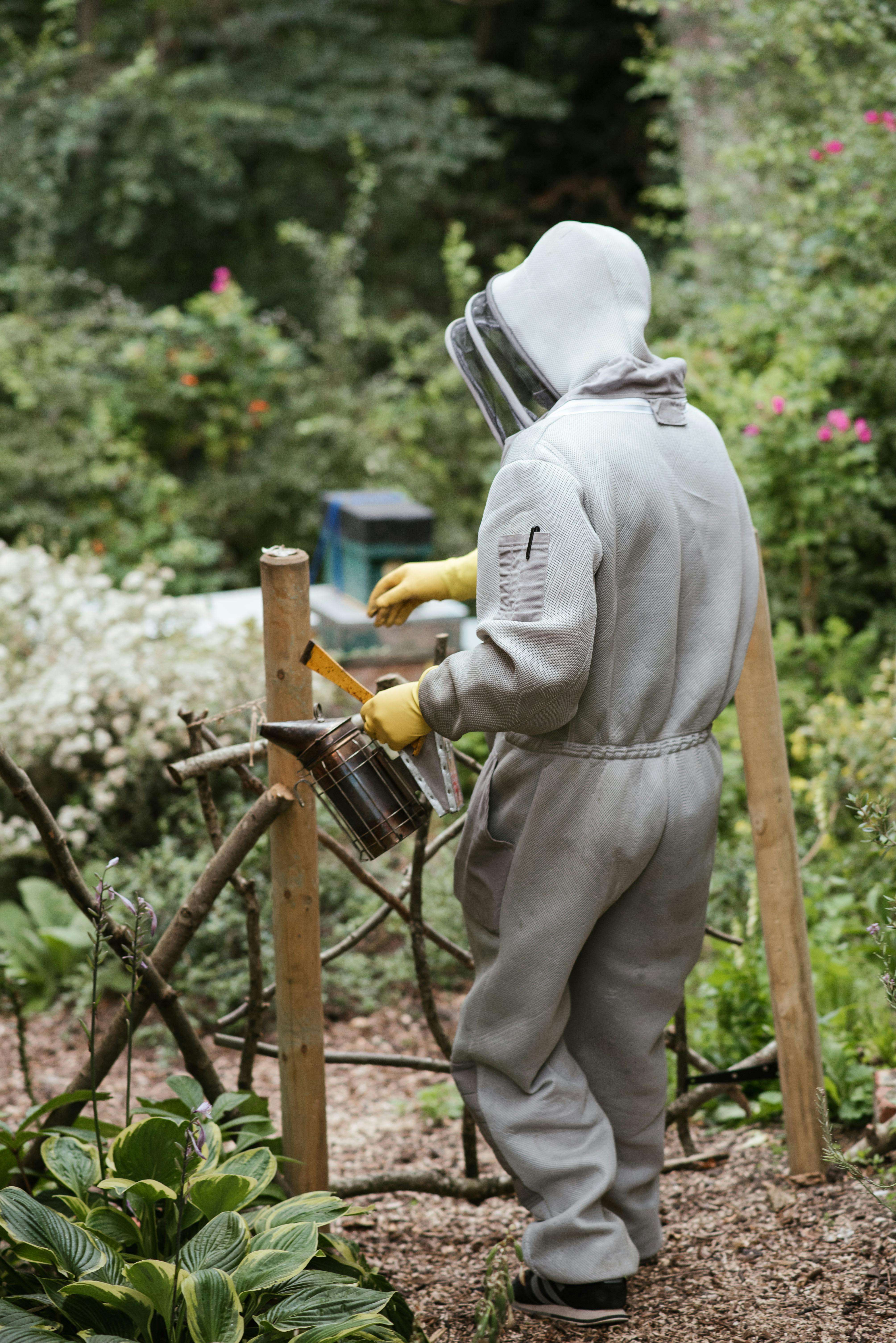 Beekeeper with equipment going in apiary · Free Stock Photo