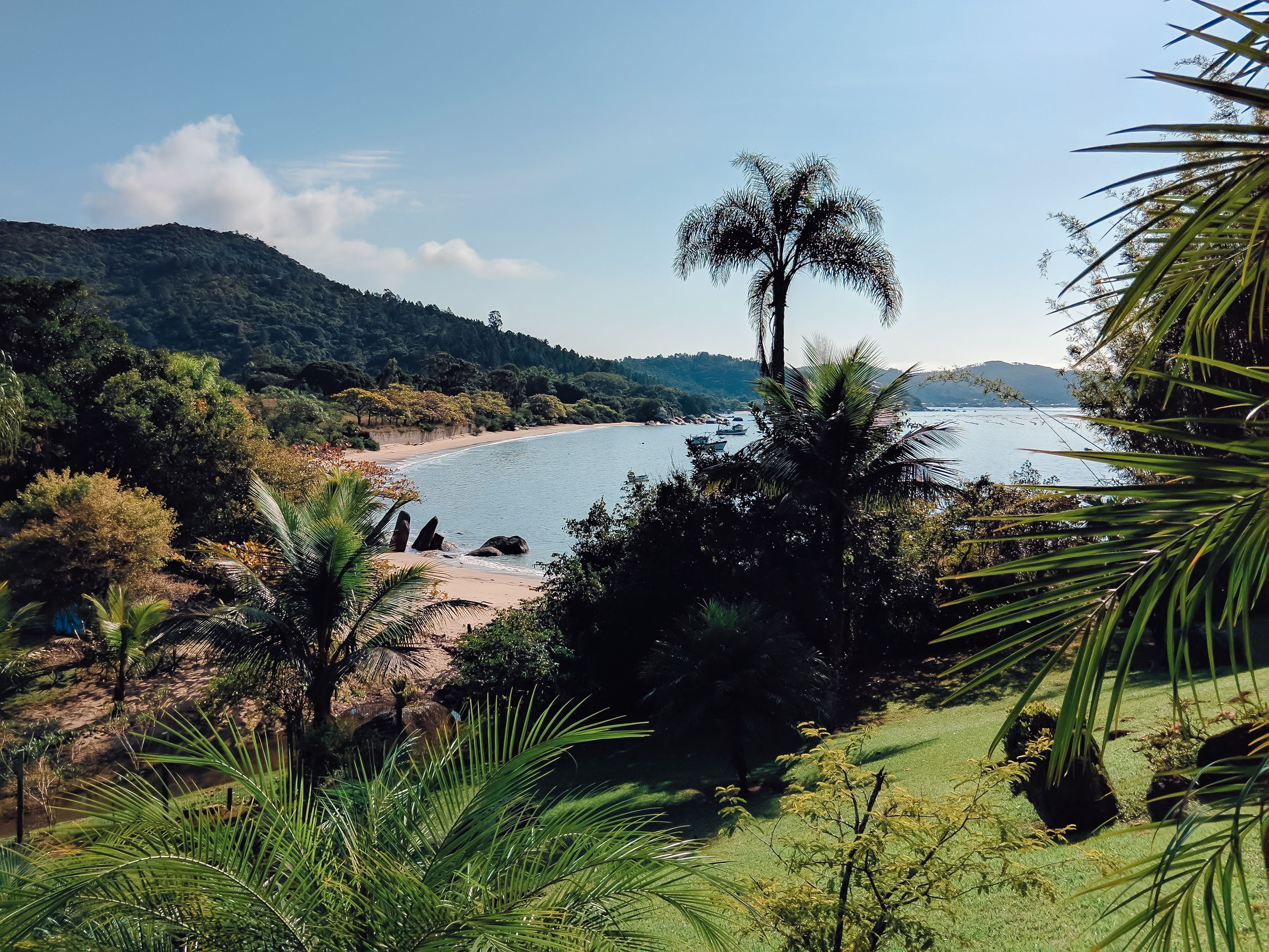 Tropical Island Coast · Free Stock Photo