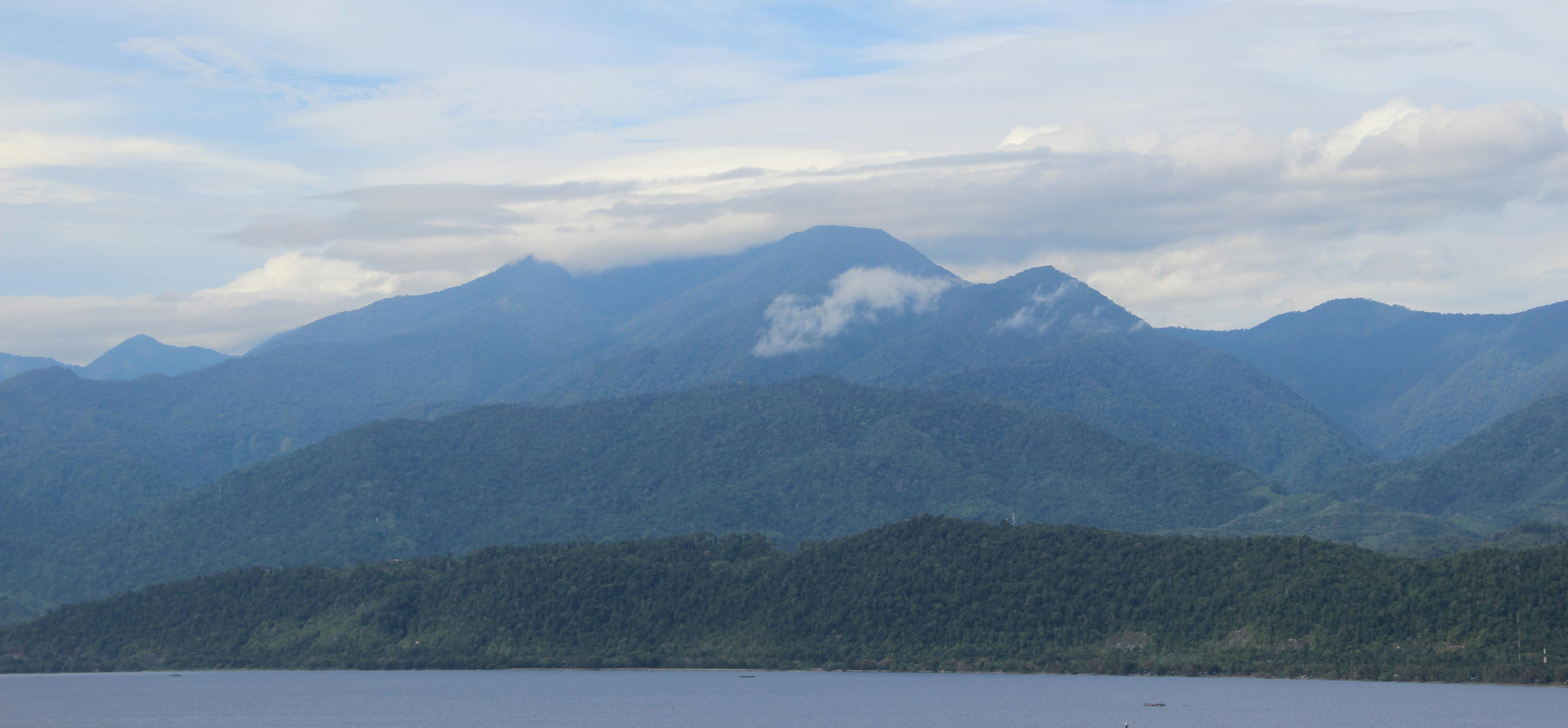 shouso boy - Fotografía