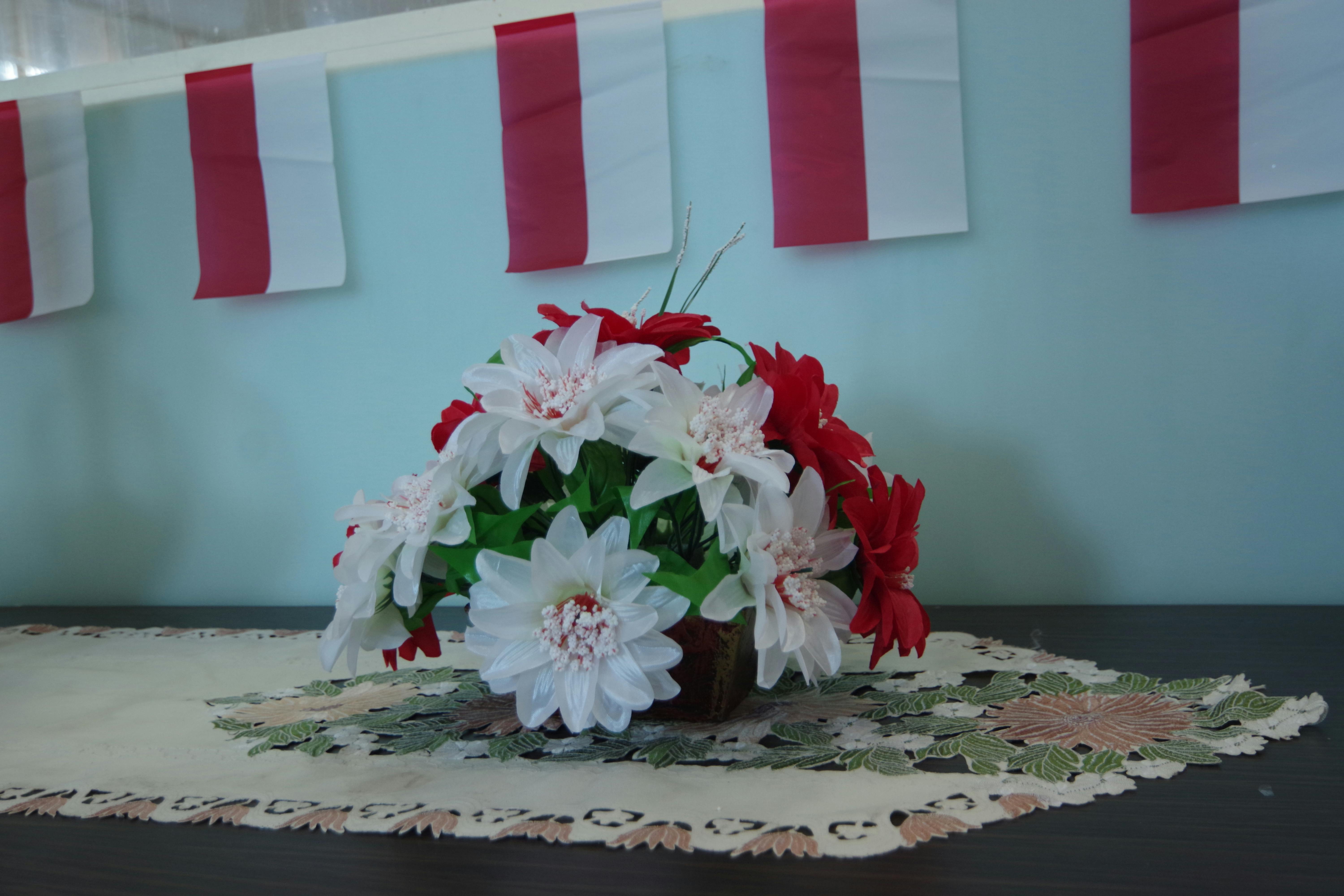 shouso boy - Fotografía