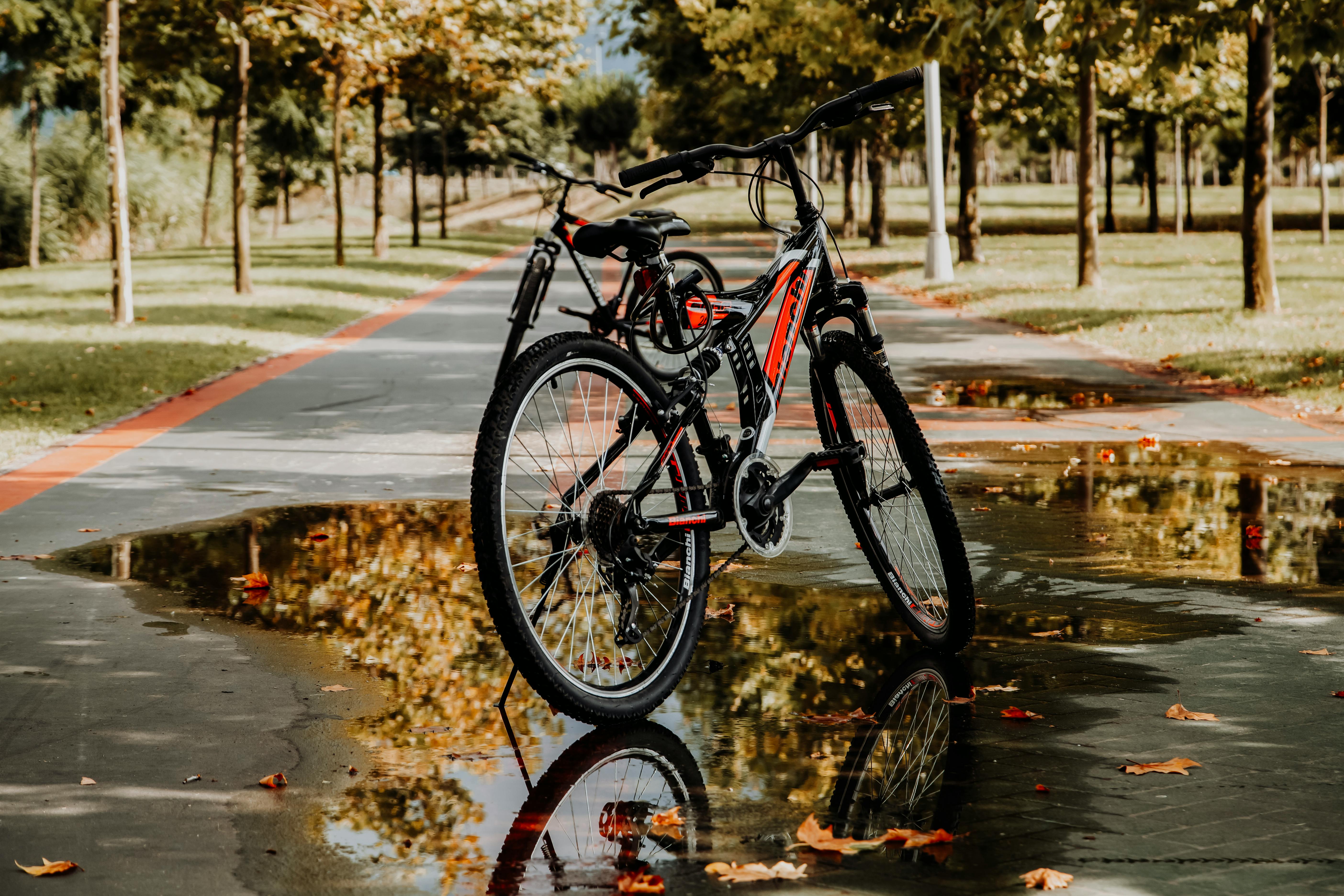 Framed Bikes Photos, Download The BEST Free Framed Bikes Stock Photos ...