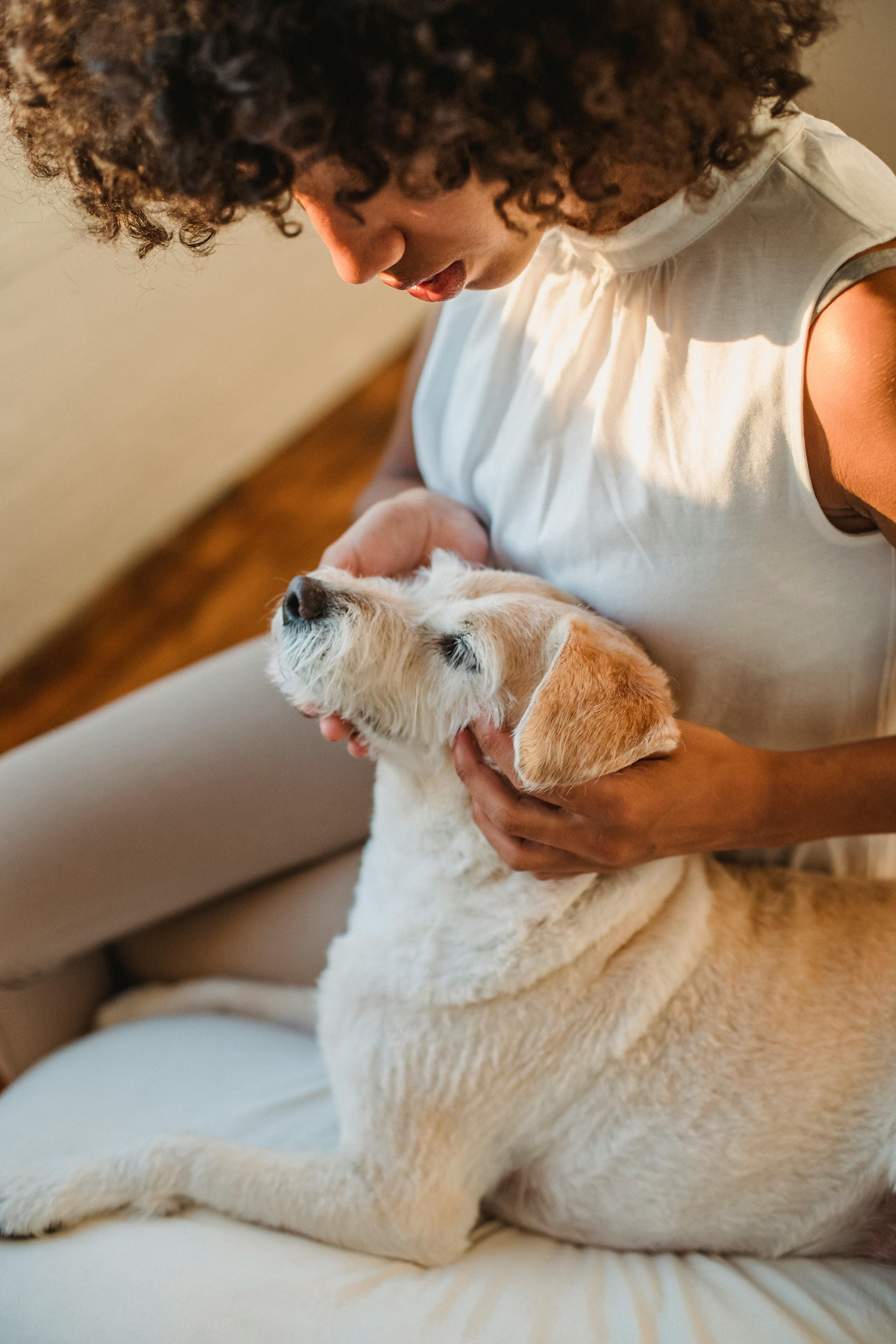 Crop black woman caressing dog in bedroom · Free Stock Photo