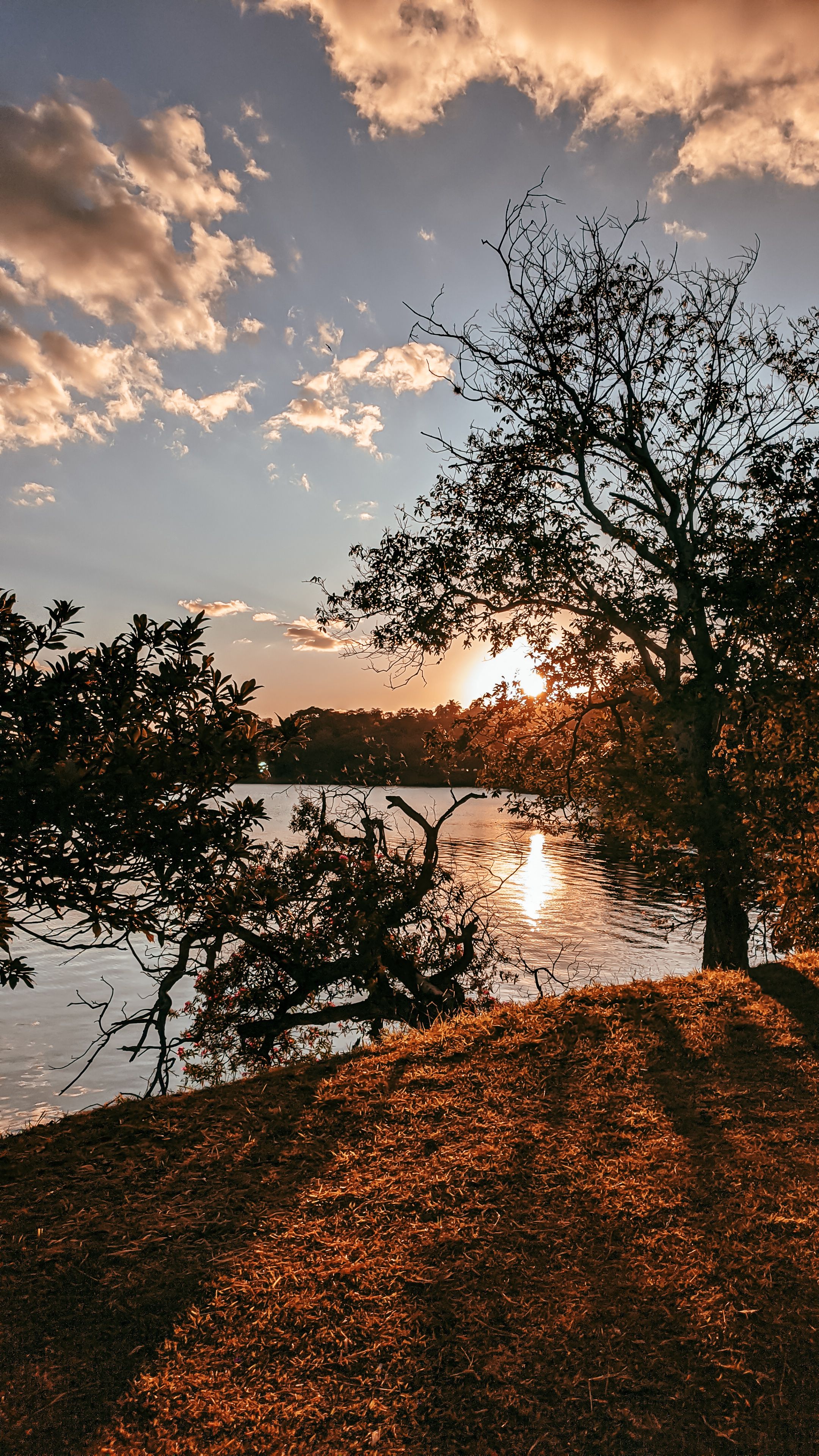 Sunset over Lakeshore · Free Stock Photo