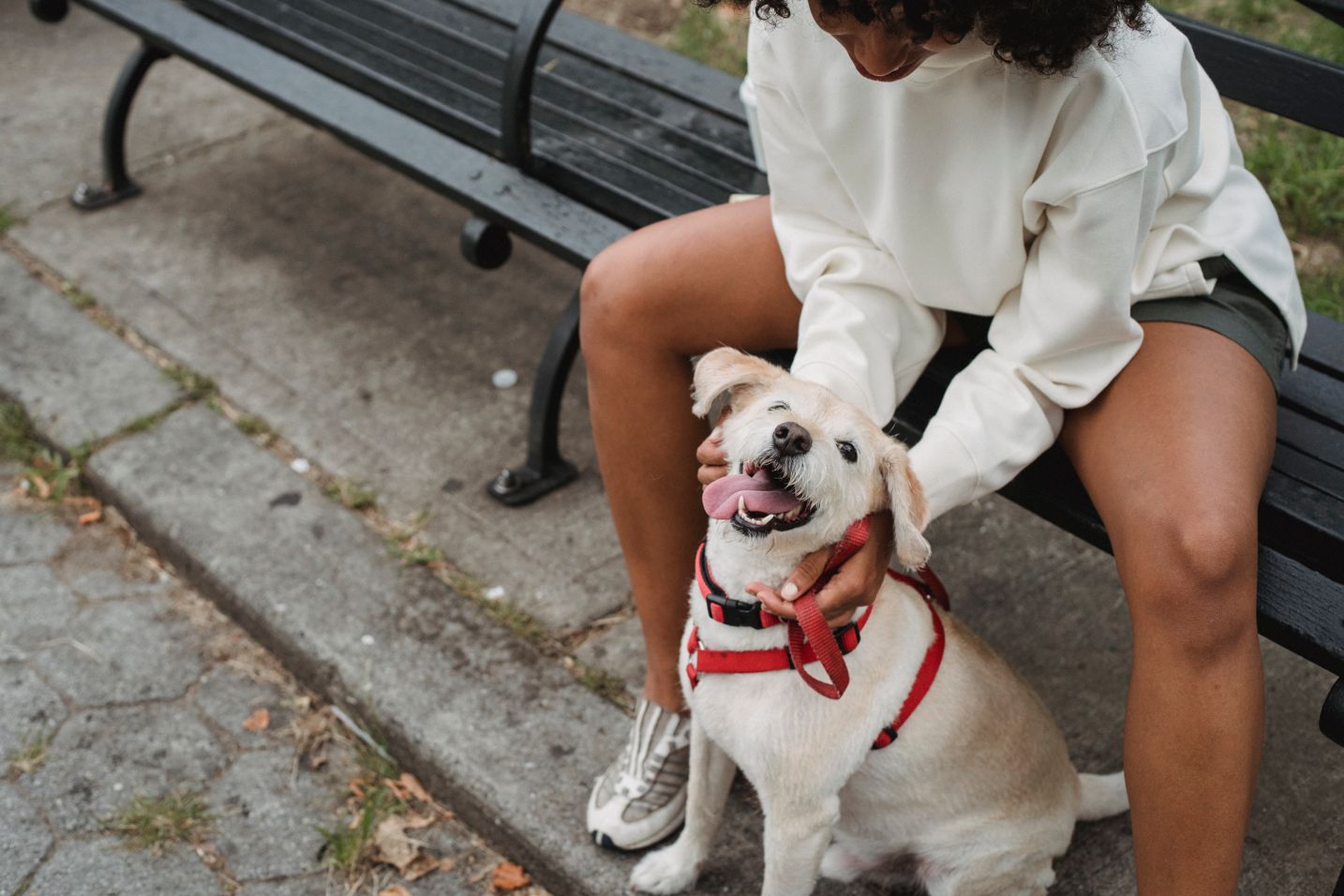 Unlocking Female Canine Anatomy: A Comprehensive Guide