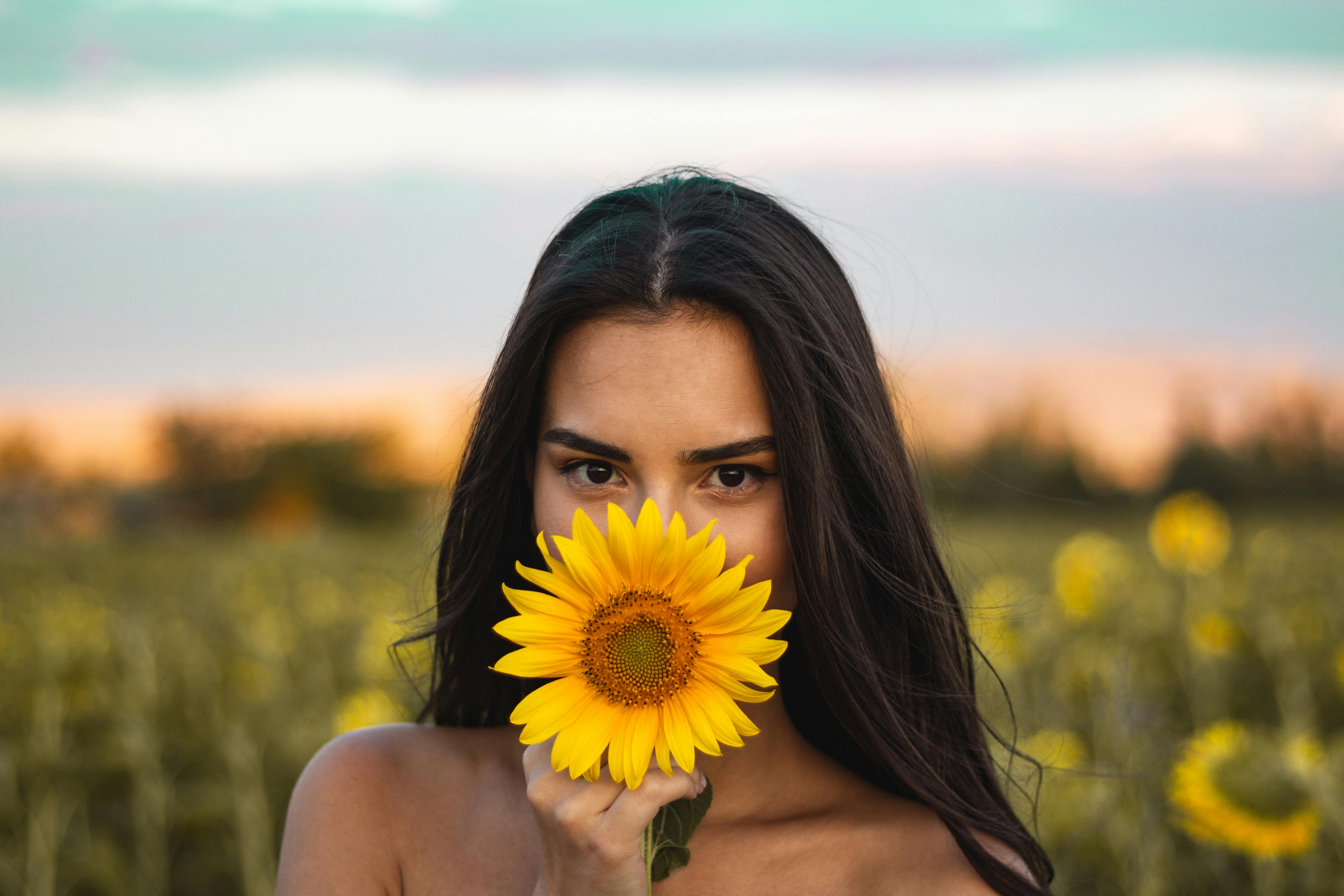 Sunflower Cover Photos, Download The BEST Free Sunflower Cover Stock ...