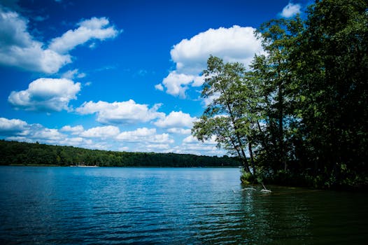 Free stock photo of ginger, lake, landscape