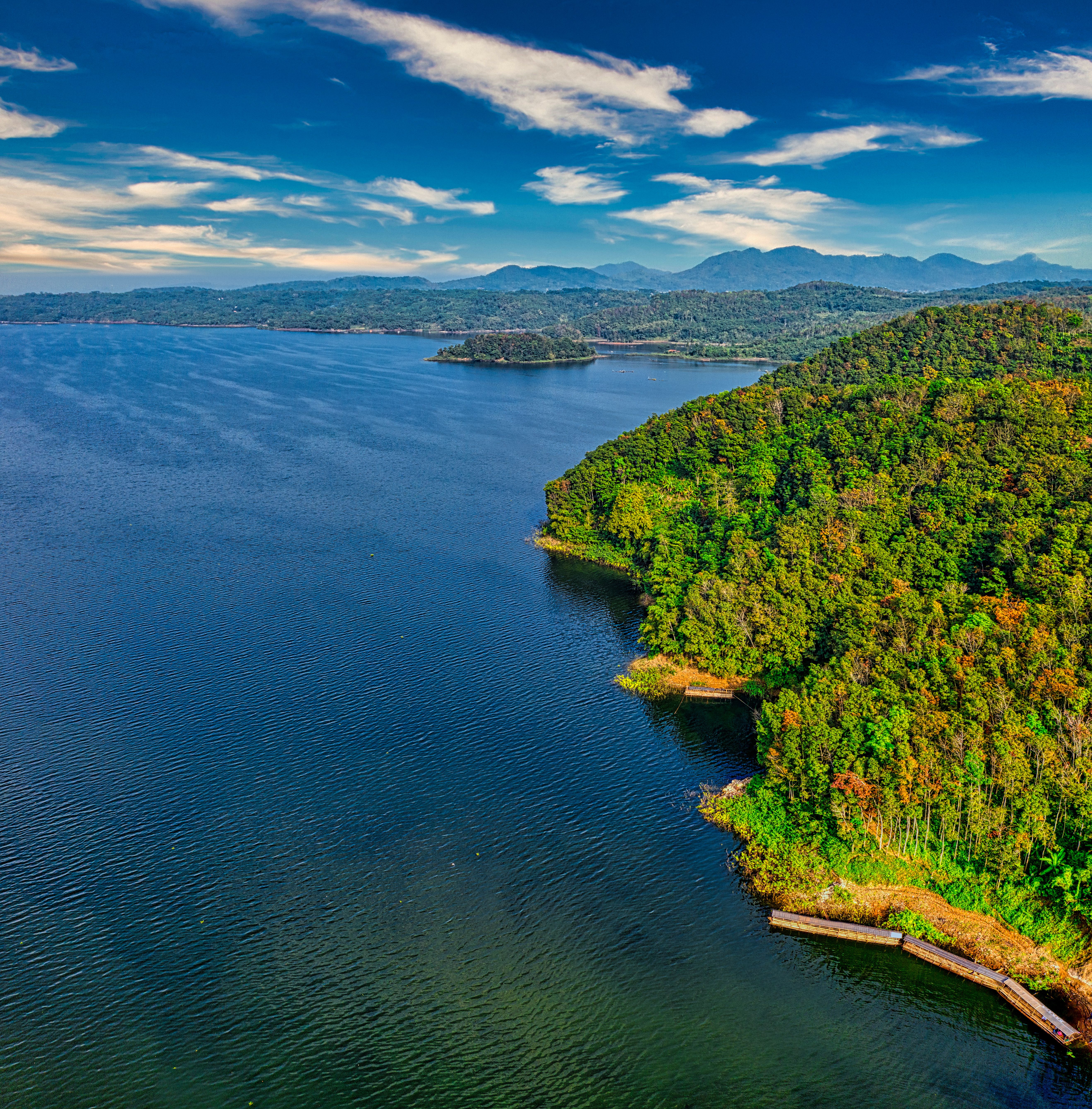 Drone Shot of a Forest Near Body of Water · Free Stock Photo