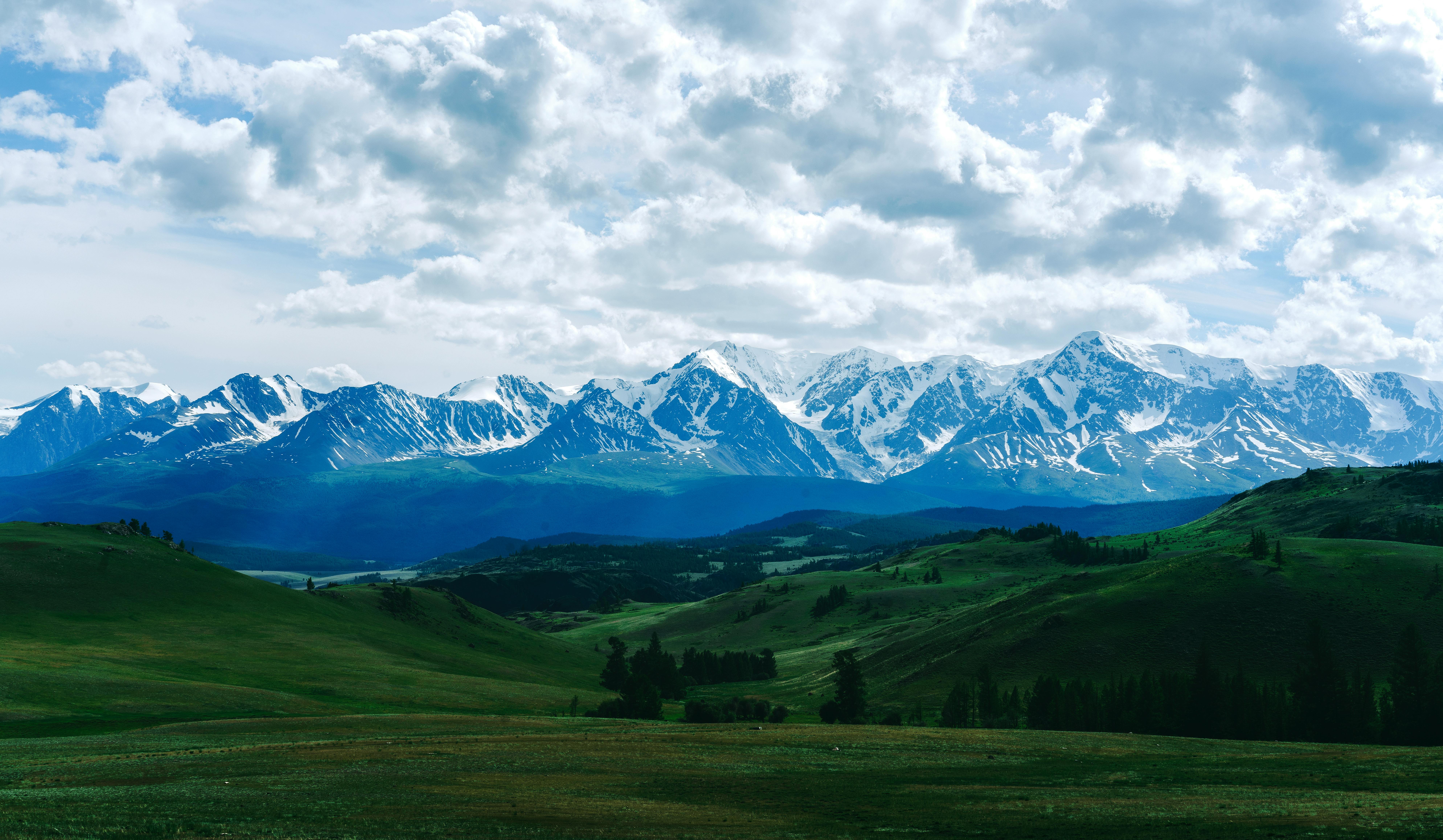 Scenic View of the Forest · Free Stock Photo