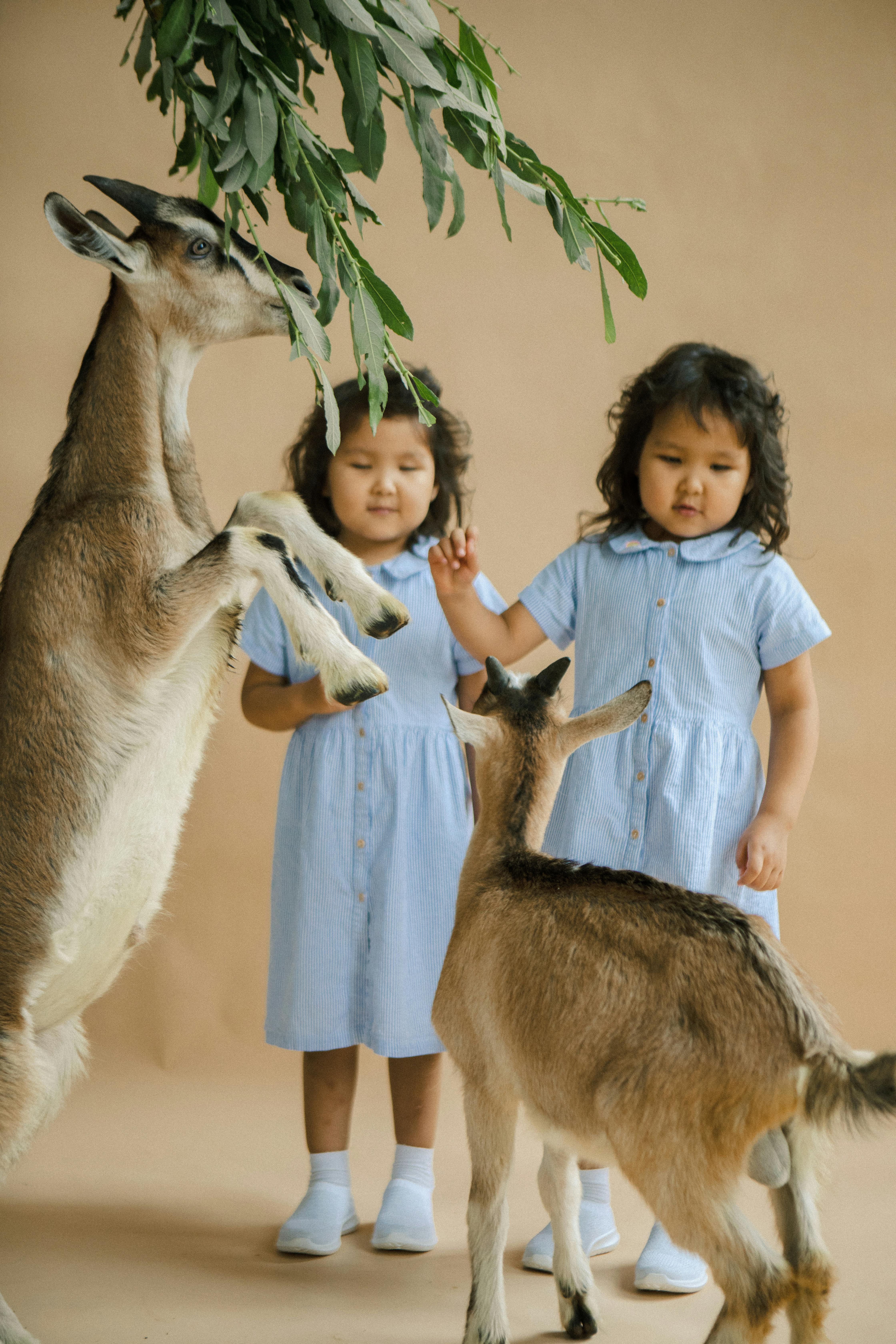 Kids Photoshoot Photos, Download The BEST Free Kids Photoshoot Stock ...