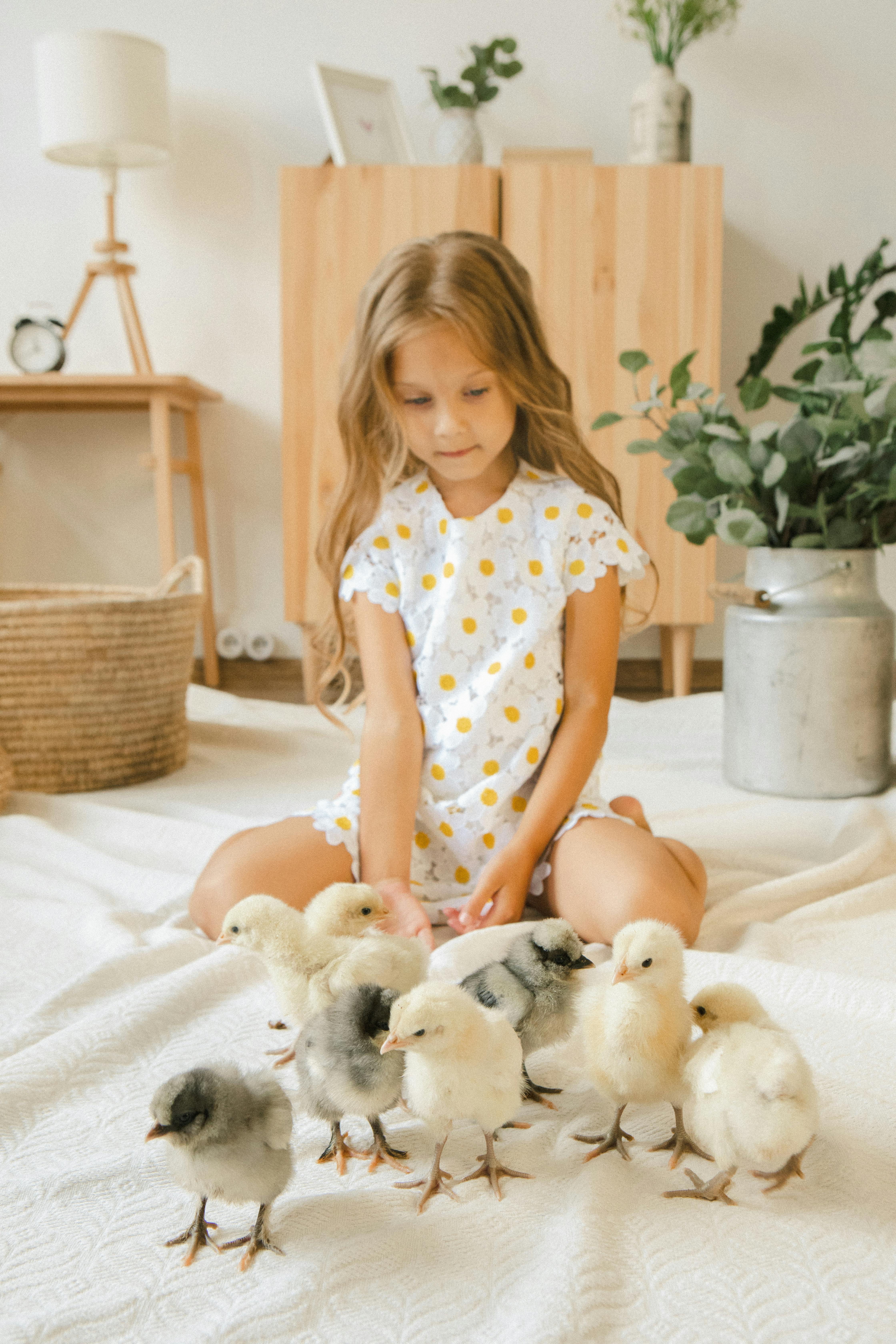 Girl with Chicks · Free Stock Photo