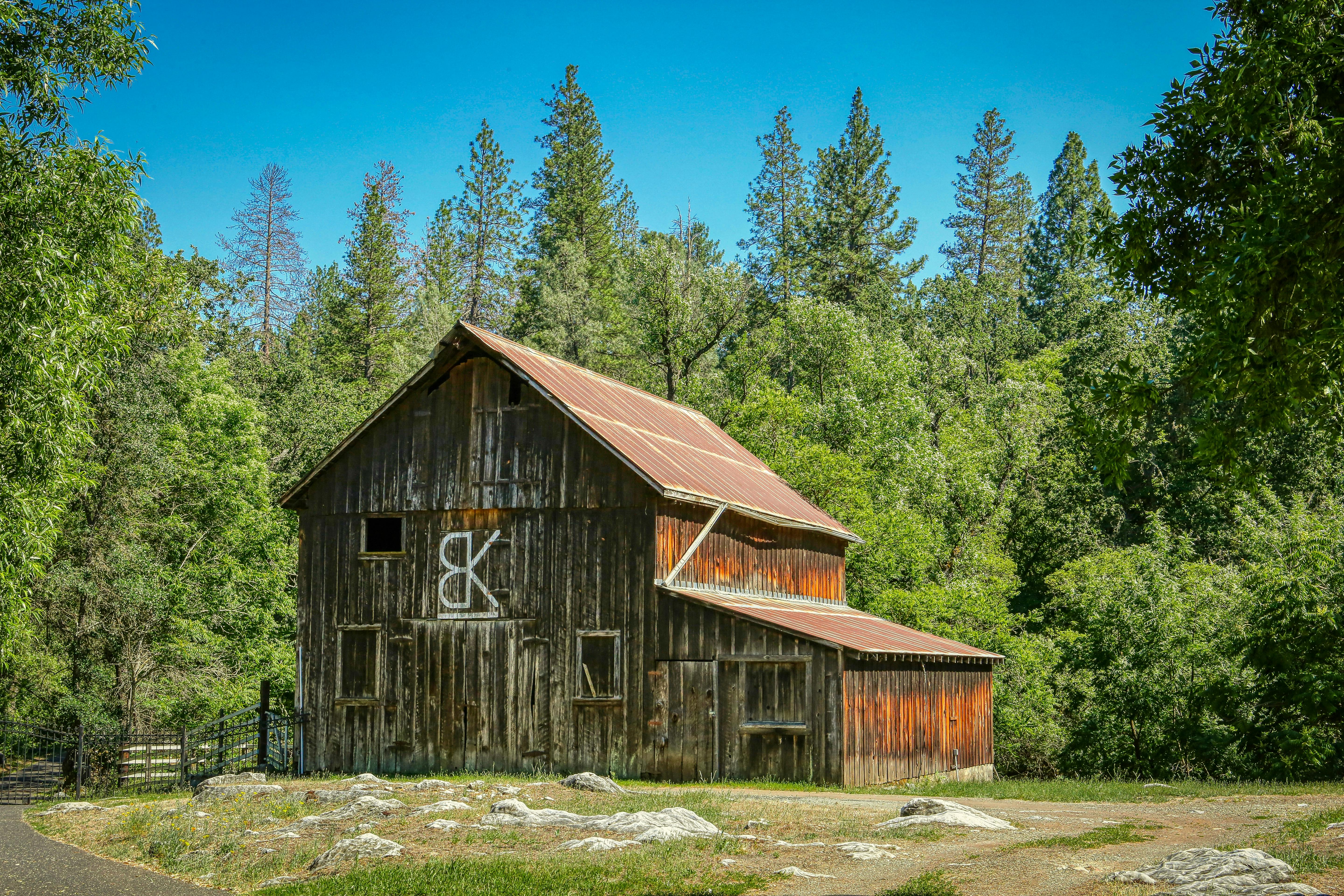 A Wooden Barn in the Forest · Free Stock Photo