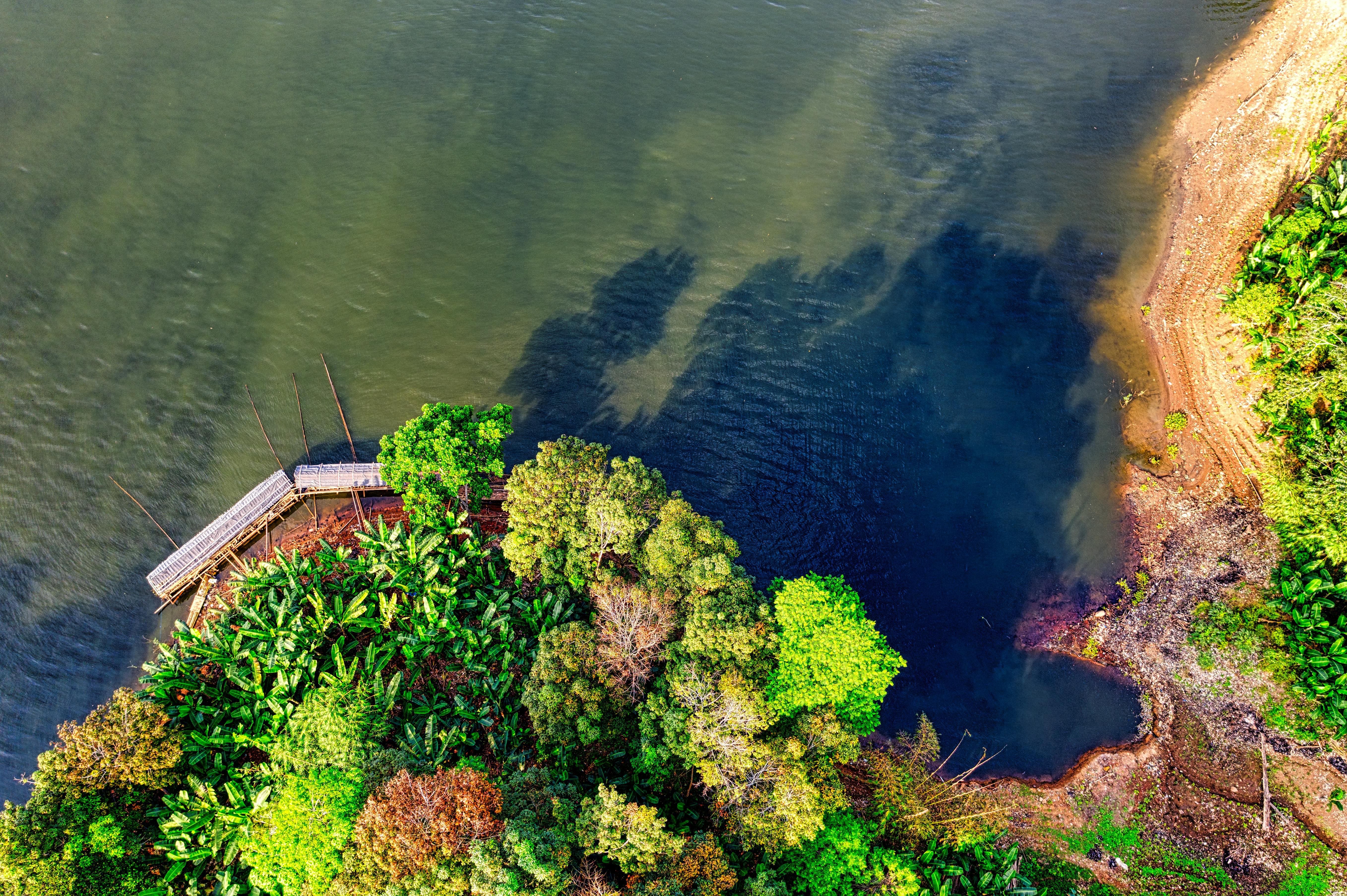 Aerial View of a Land near the Lake · Free Stock Photo