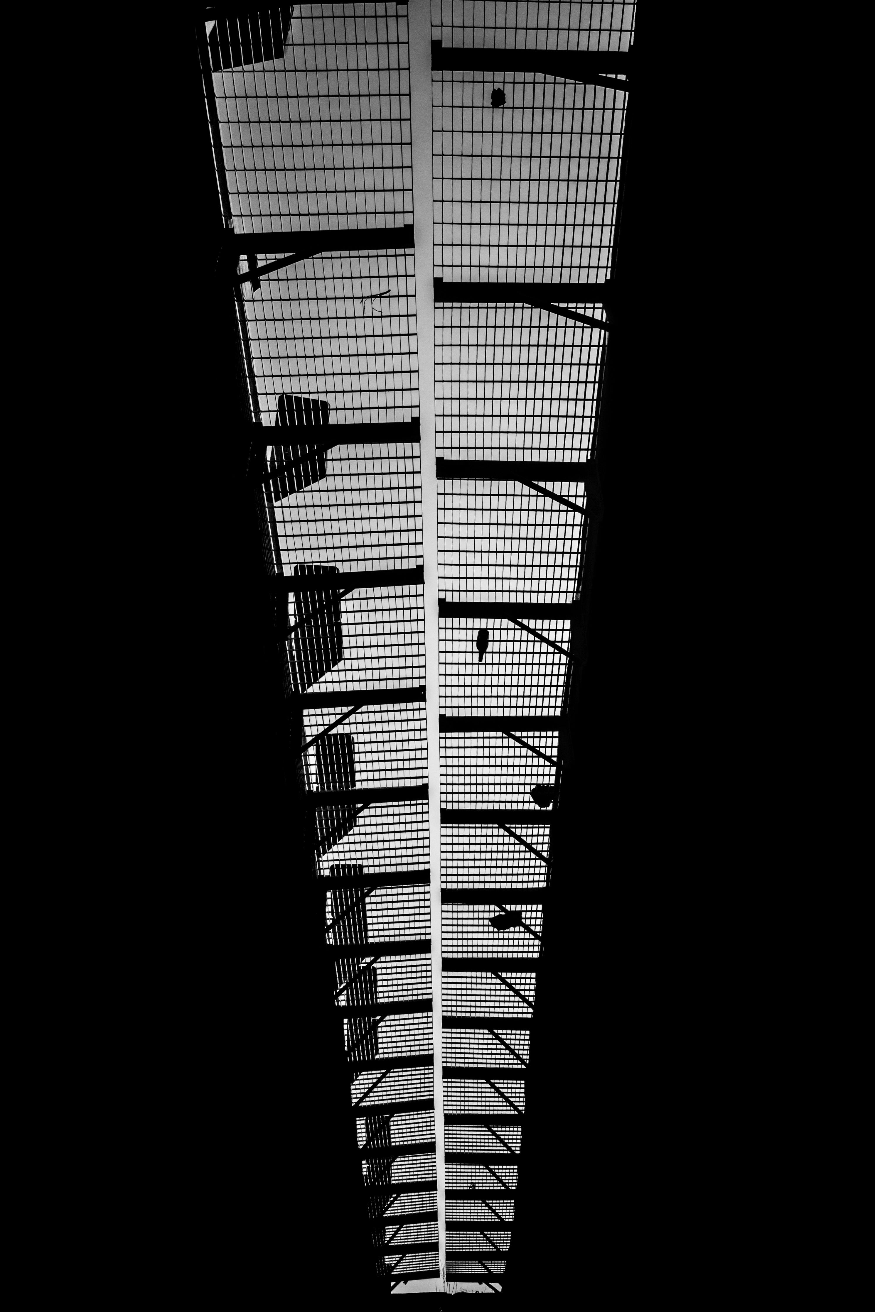 Dark Architecture Photos, Download The BEST Free Dark Architecture ...