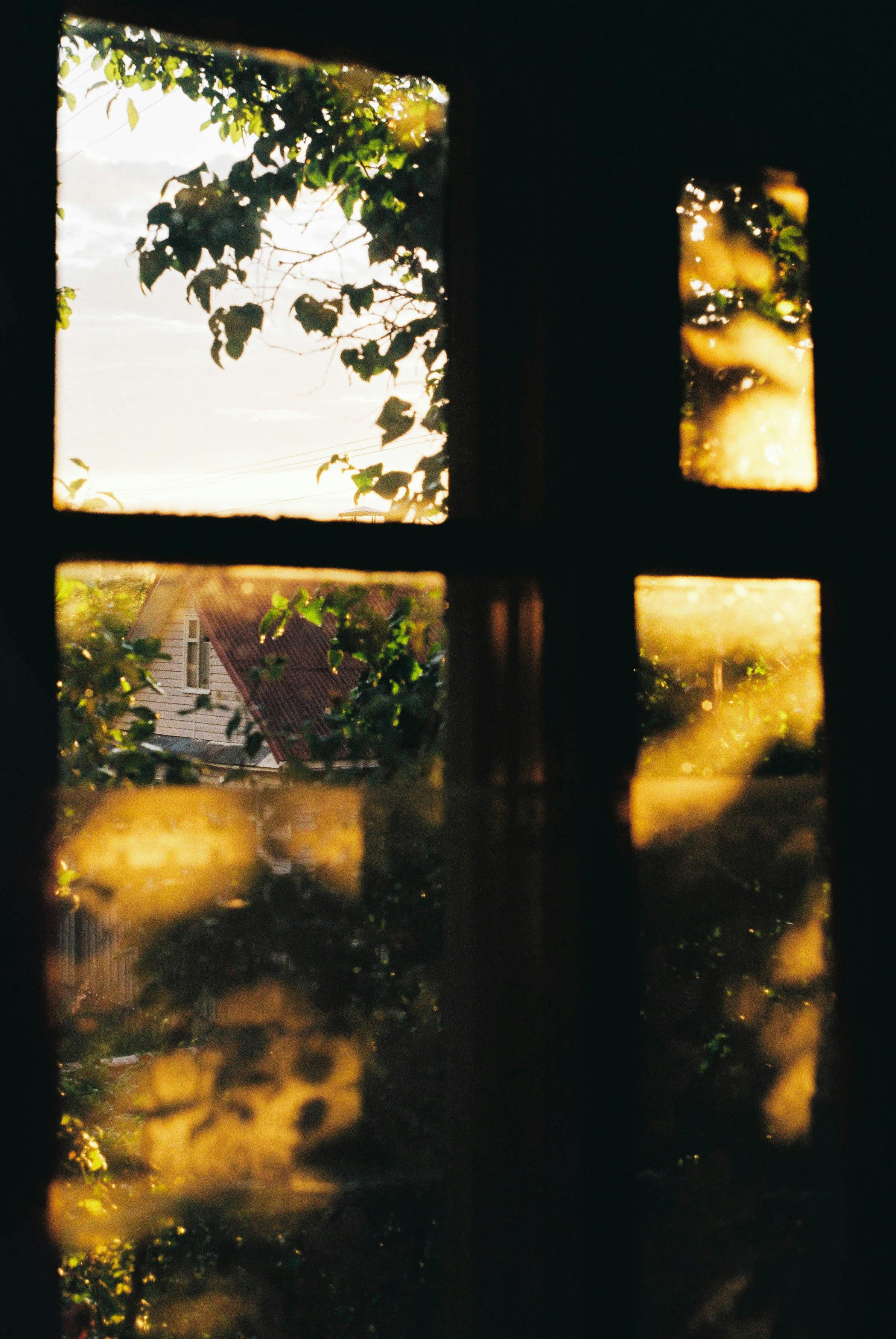 View of the Green Trees from the Glass Window · Free Stock Photo