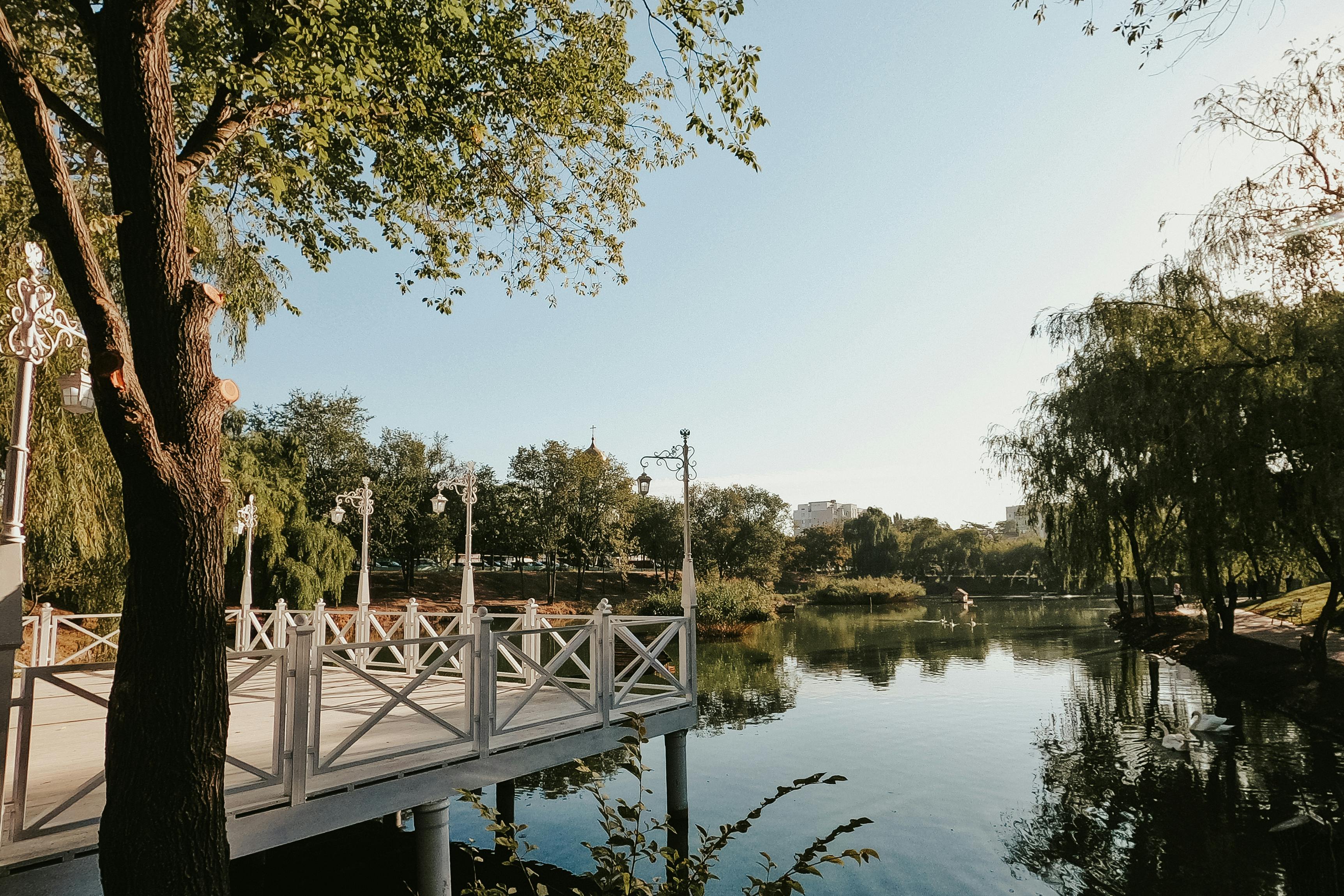 Pond Wallpaper Photos, Download The BEST Free Pond Wallpaper Stock ...