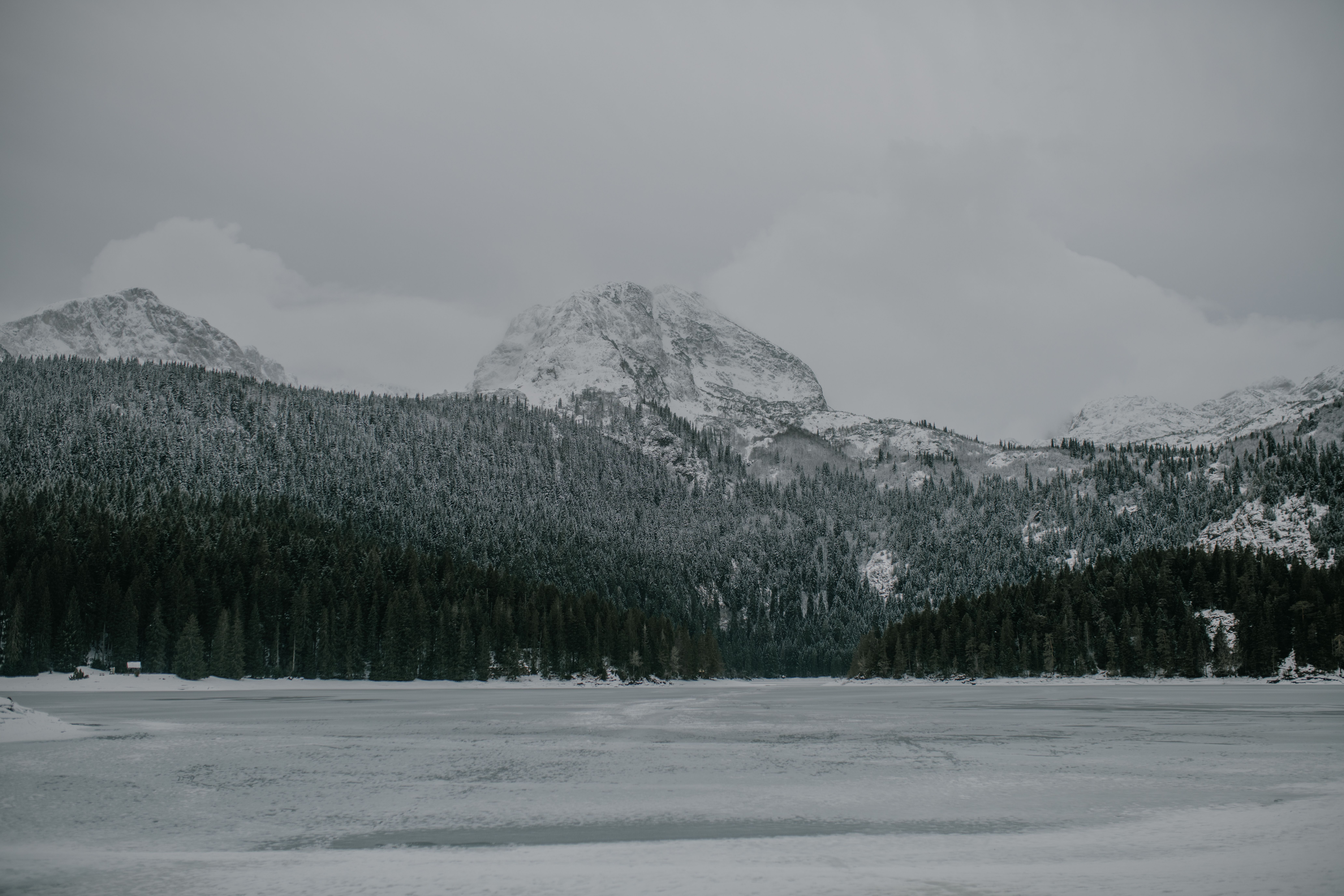 Snowy highlands with forested valley and frozen lake · Free Stock Photo
