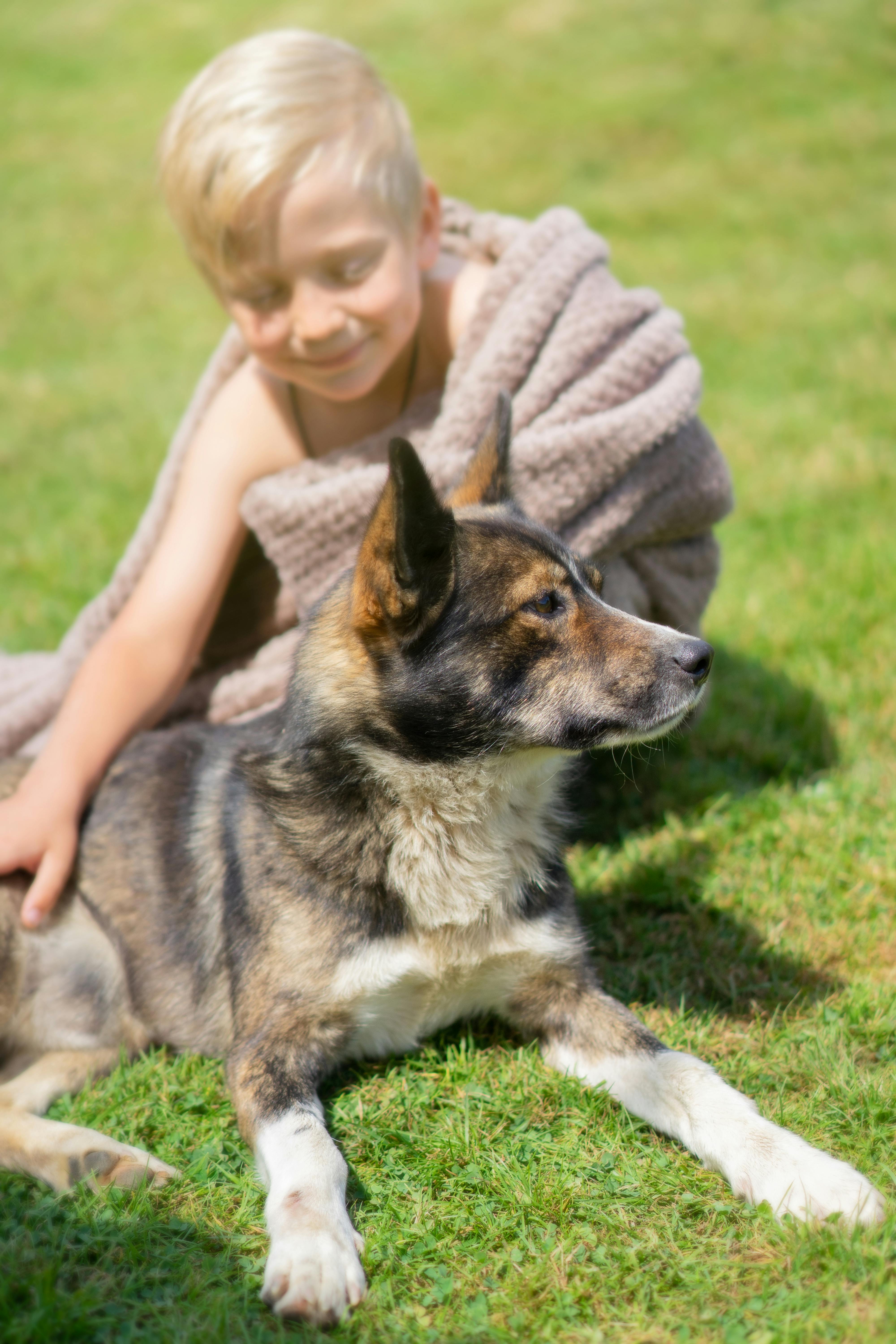 Blonde Child with Dog in Mountains · Free Stock Photo