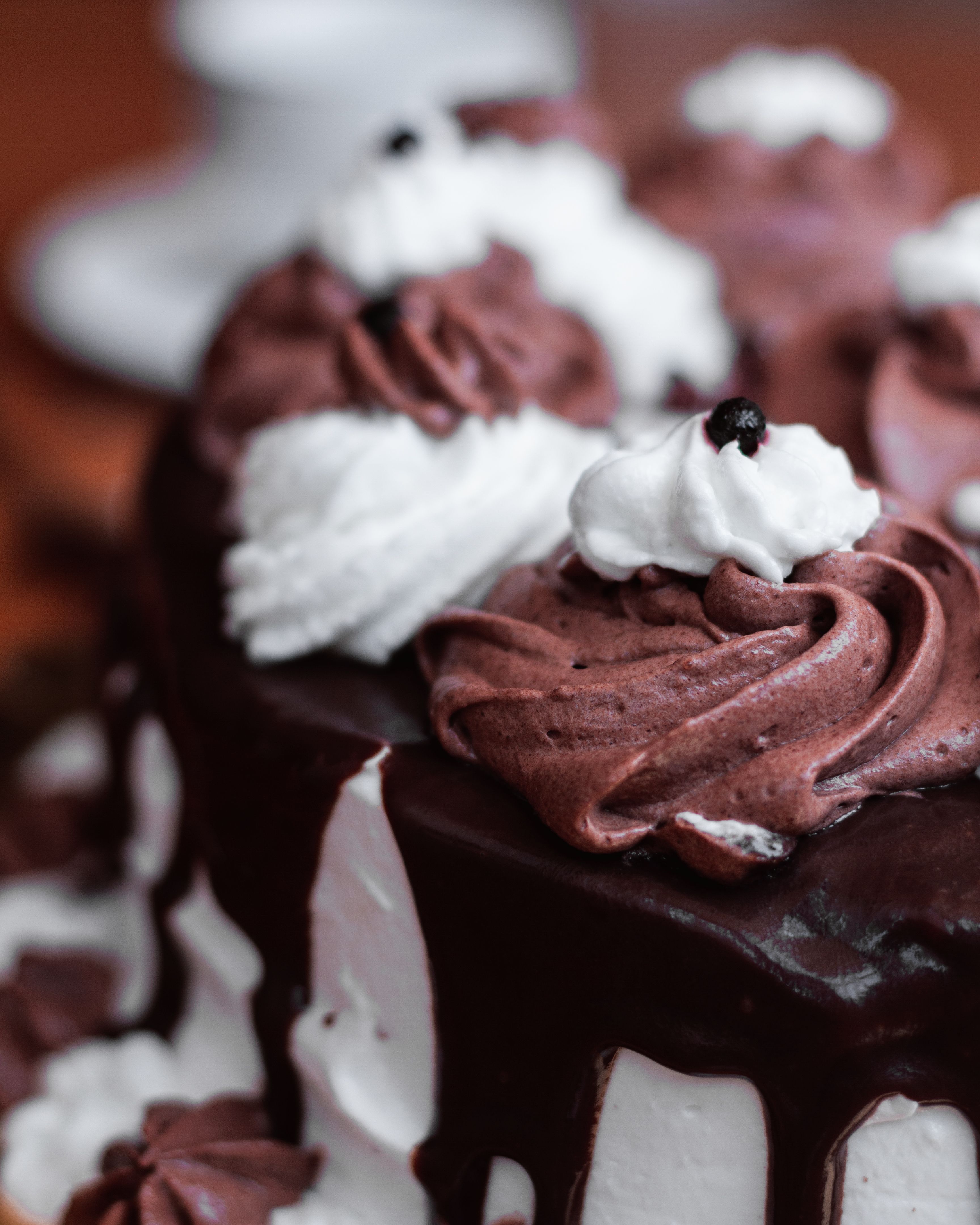 Close-up Photo of Small Black Cake · Free Stock Photo