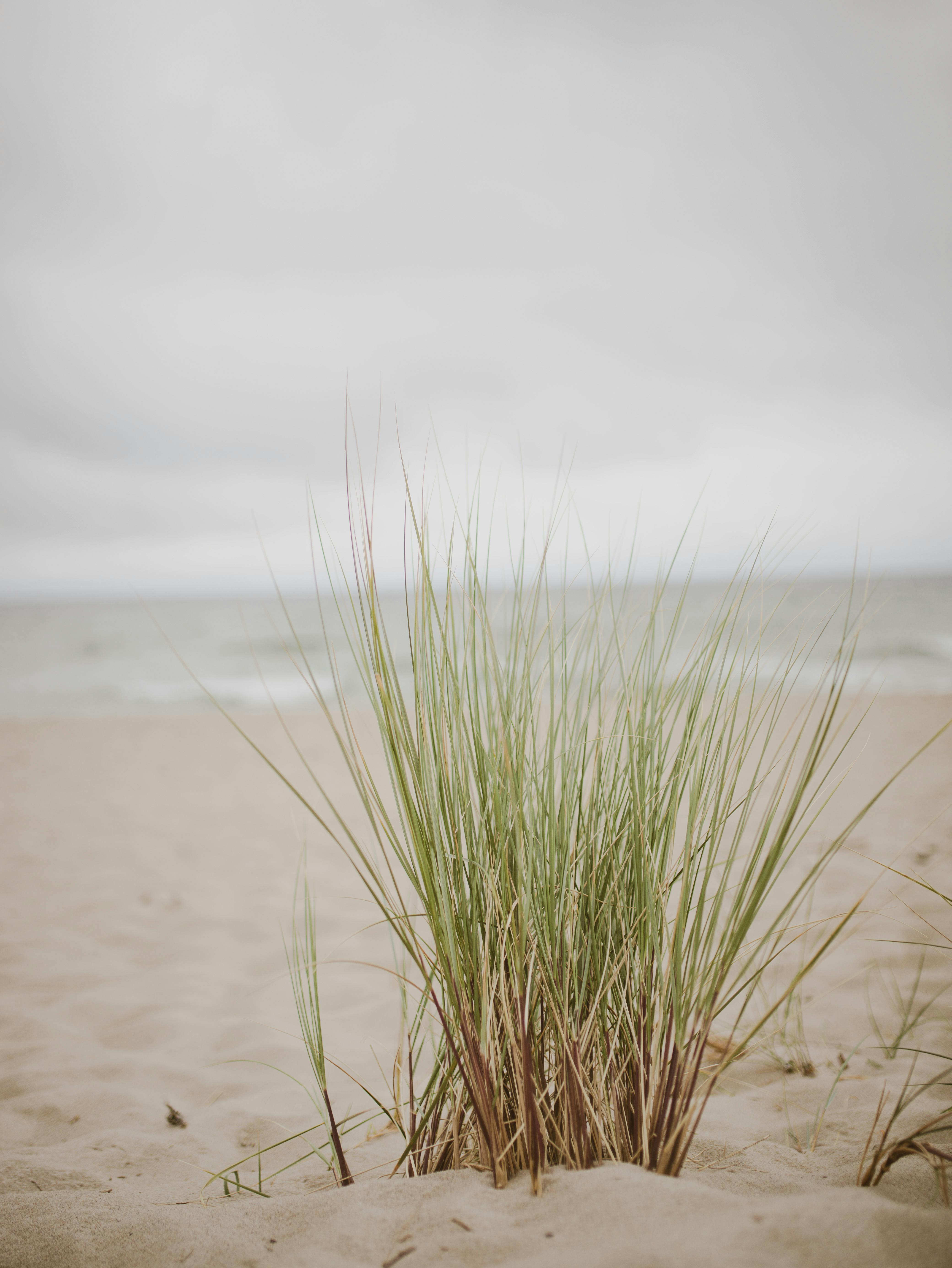 Sea Green Backgrounds Photos, Download The BEST Free Sea Green ...