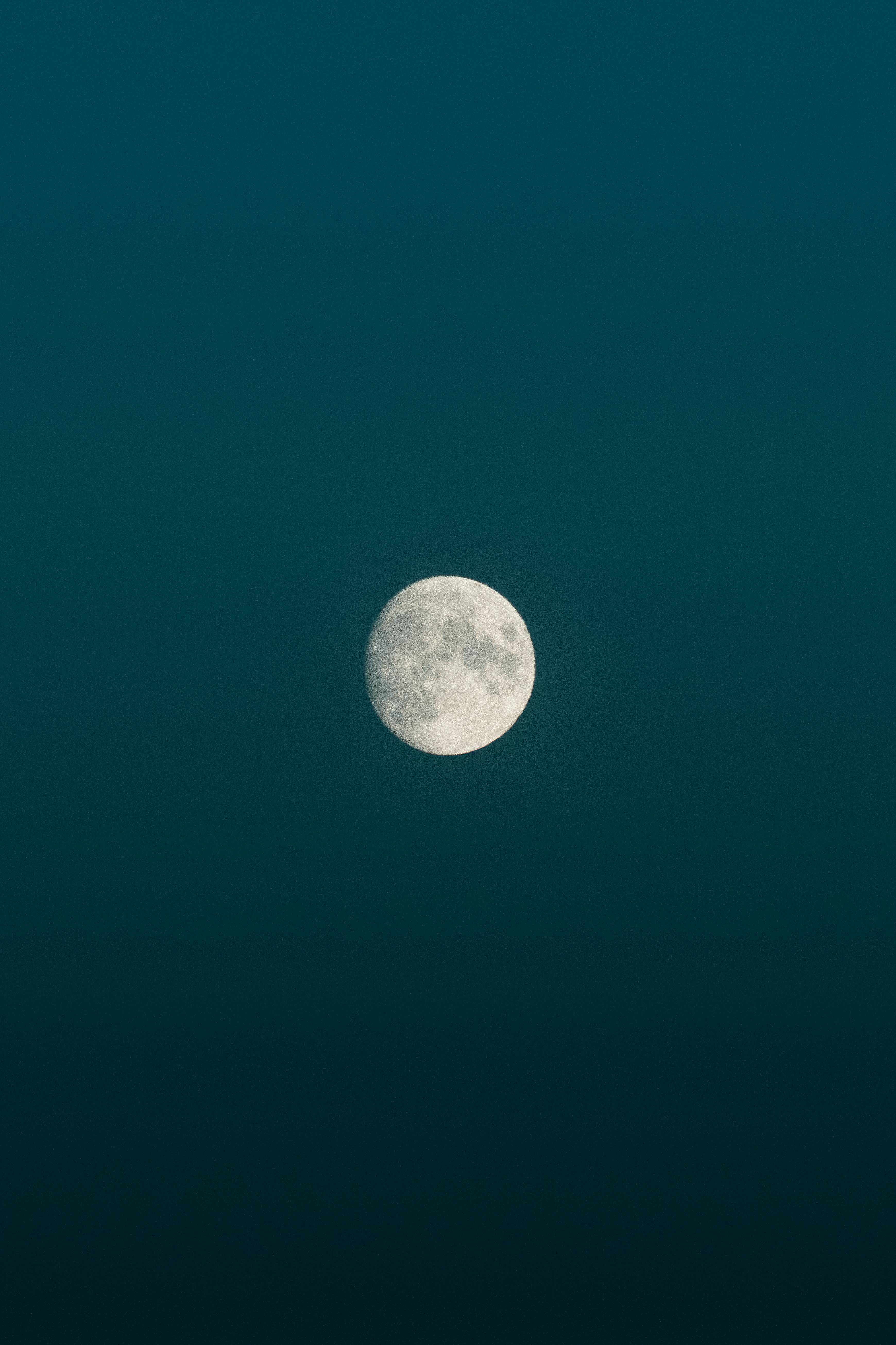 Dark Gradient Background Photos, Download The BEST Free Dark Gradient ...