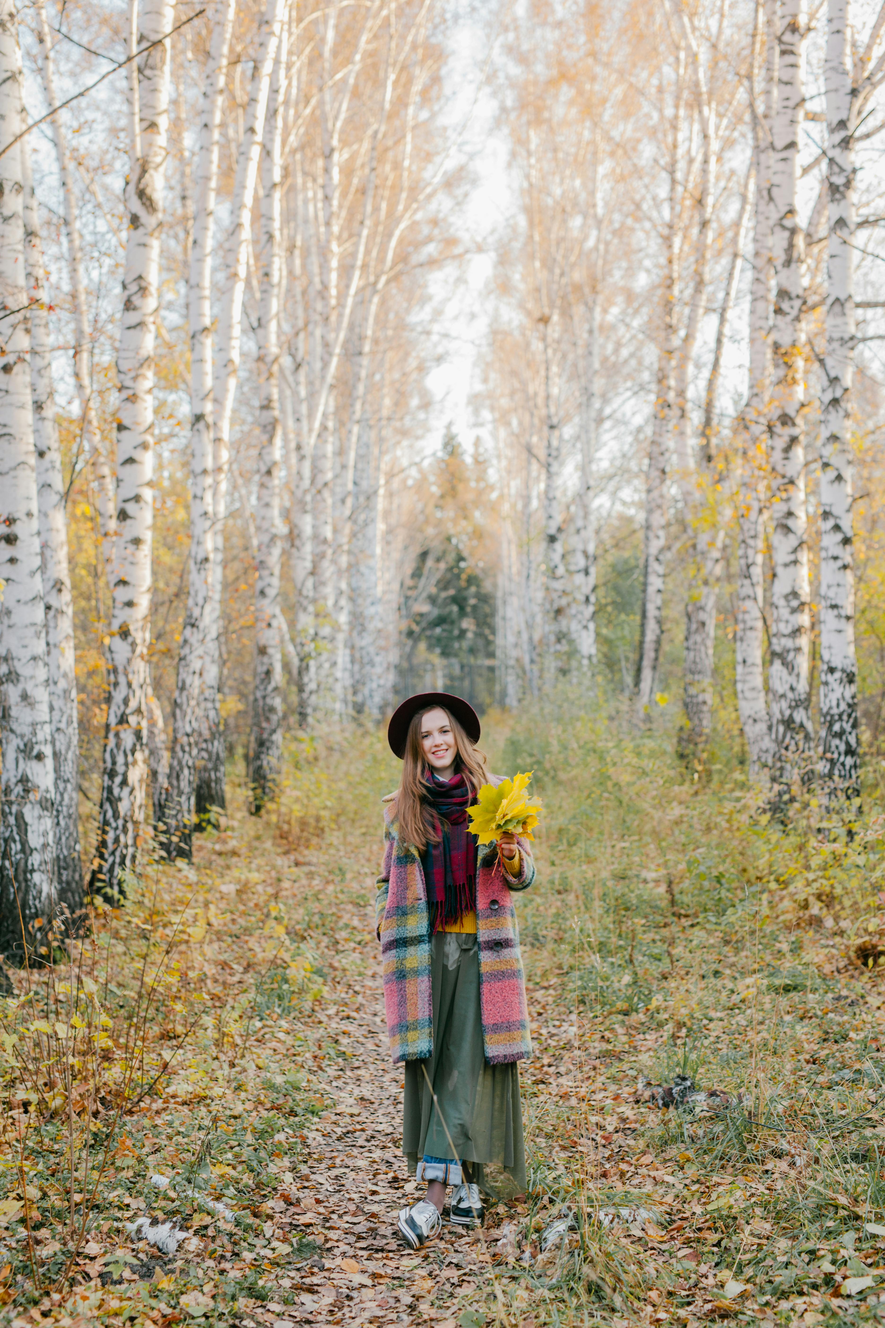 60,000+ Best Fall Pictures · 100% Free Download · Pexels Stock Photos