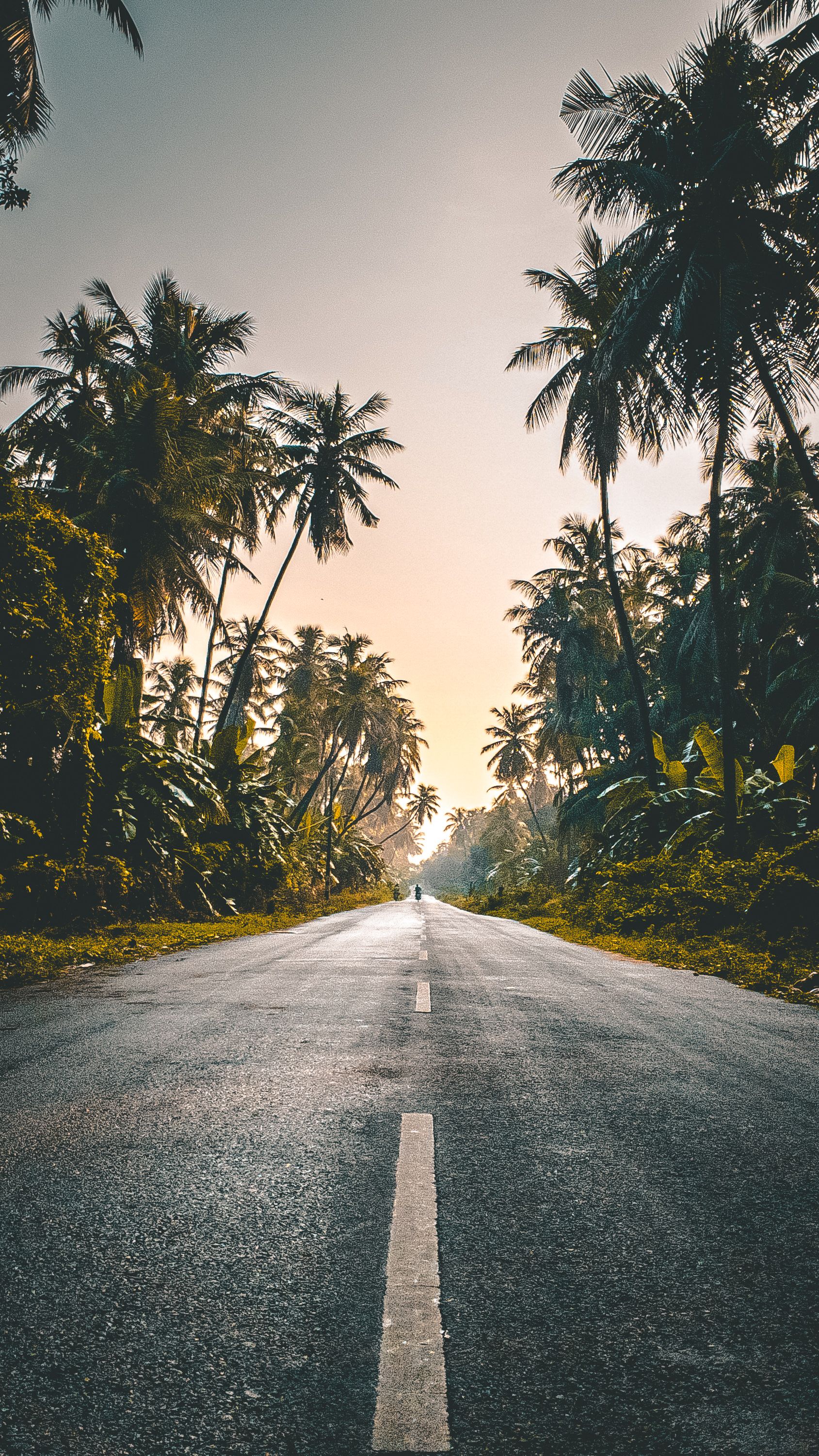 Beautiful Highway Photos, Download The BEST Free Beautiful Highway ...