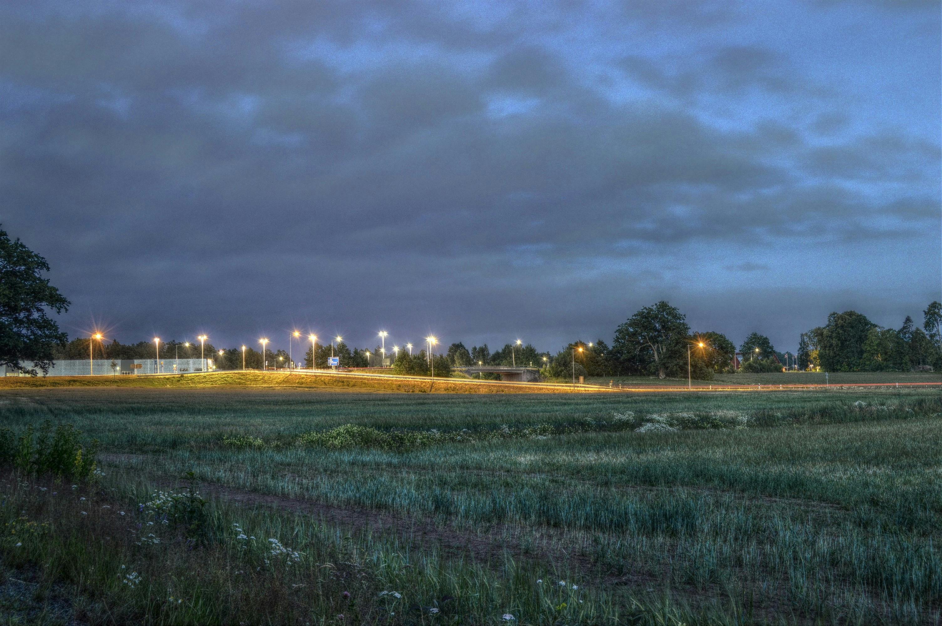Free stock photo of evening, field, forest