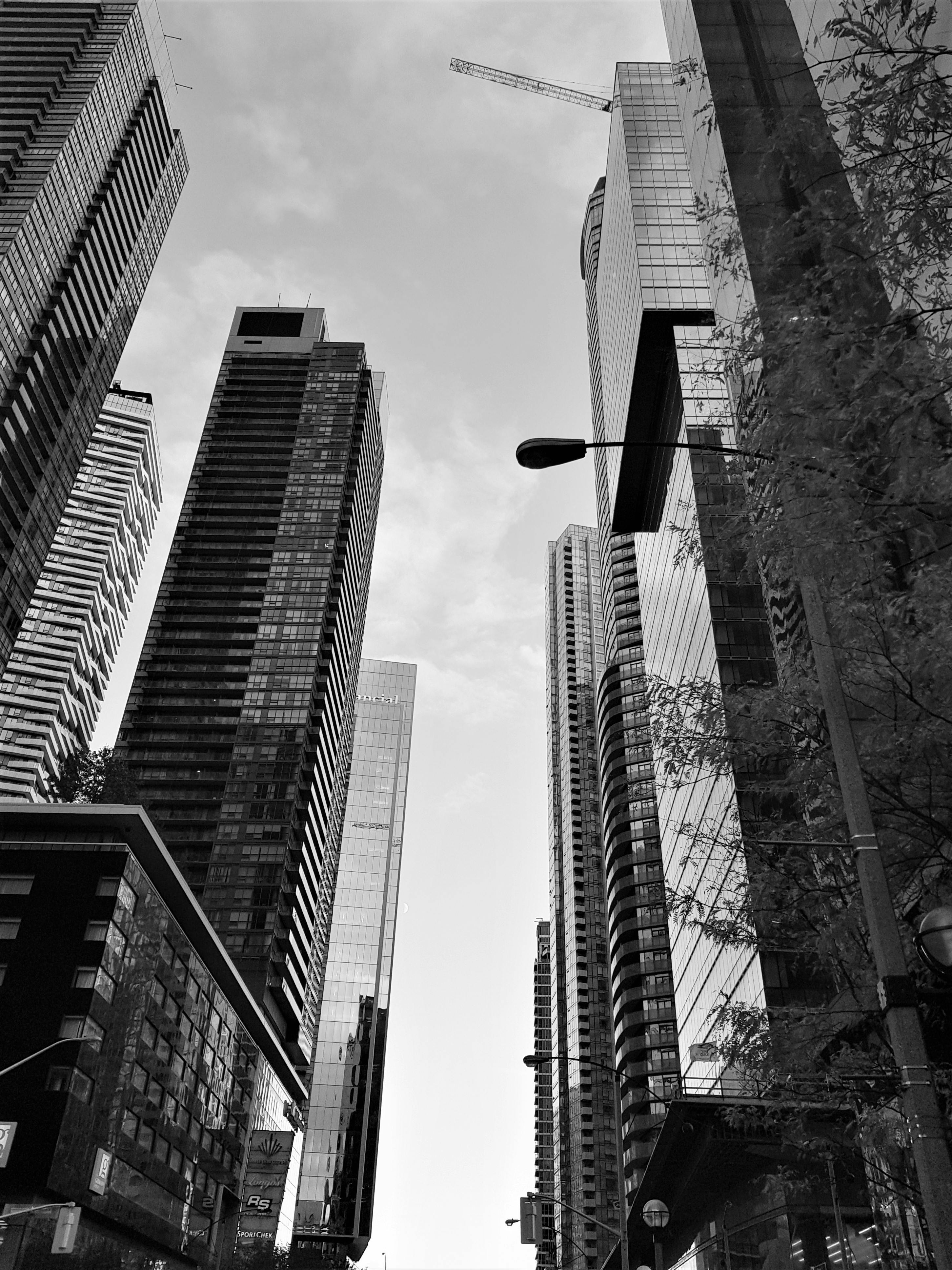 Worm's Eye View Of Buildings · Free Stock Photo