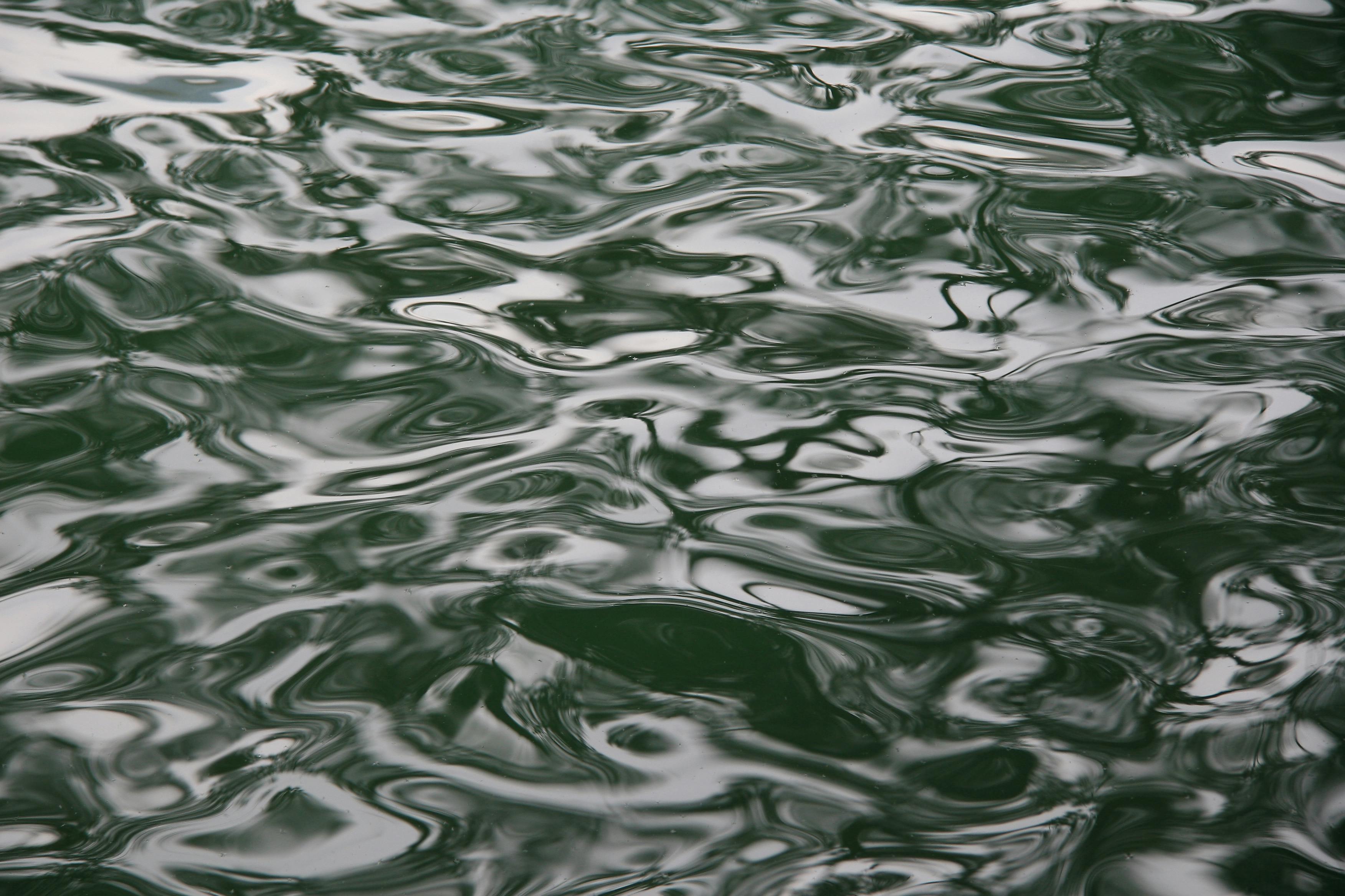 Water surface · Free Stock Photo