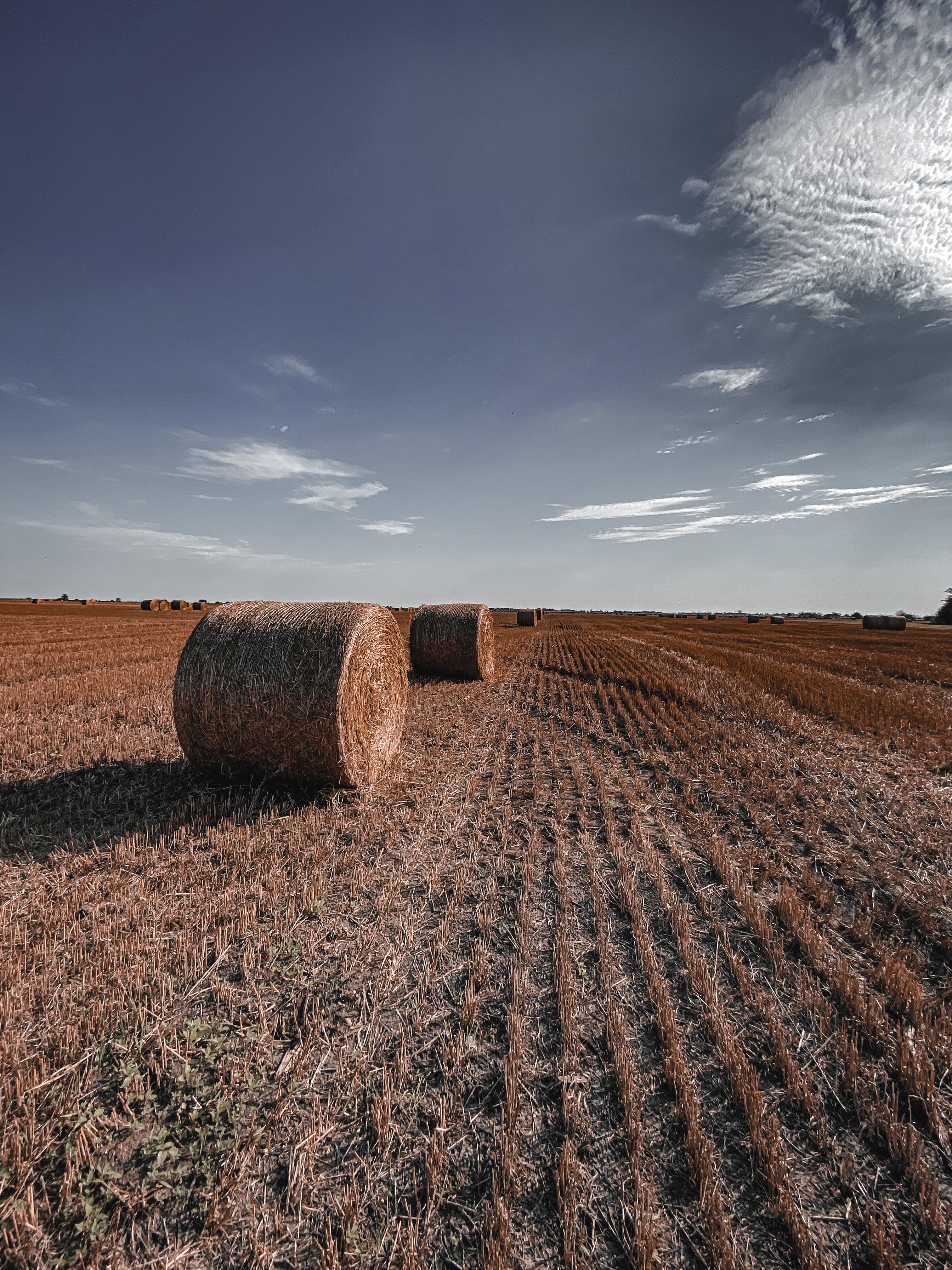 Hayfield During Sunset · Free Stock Photo