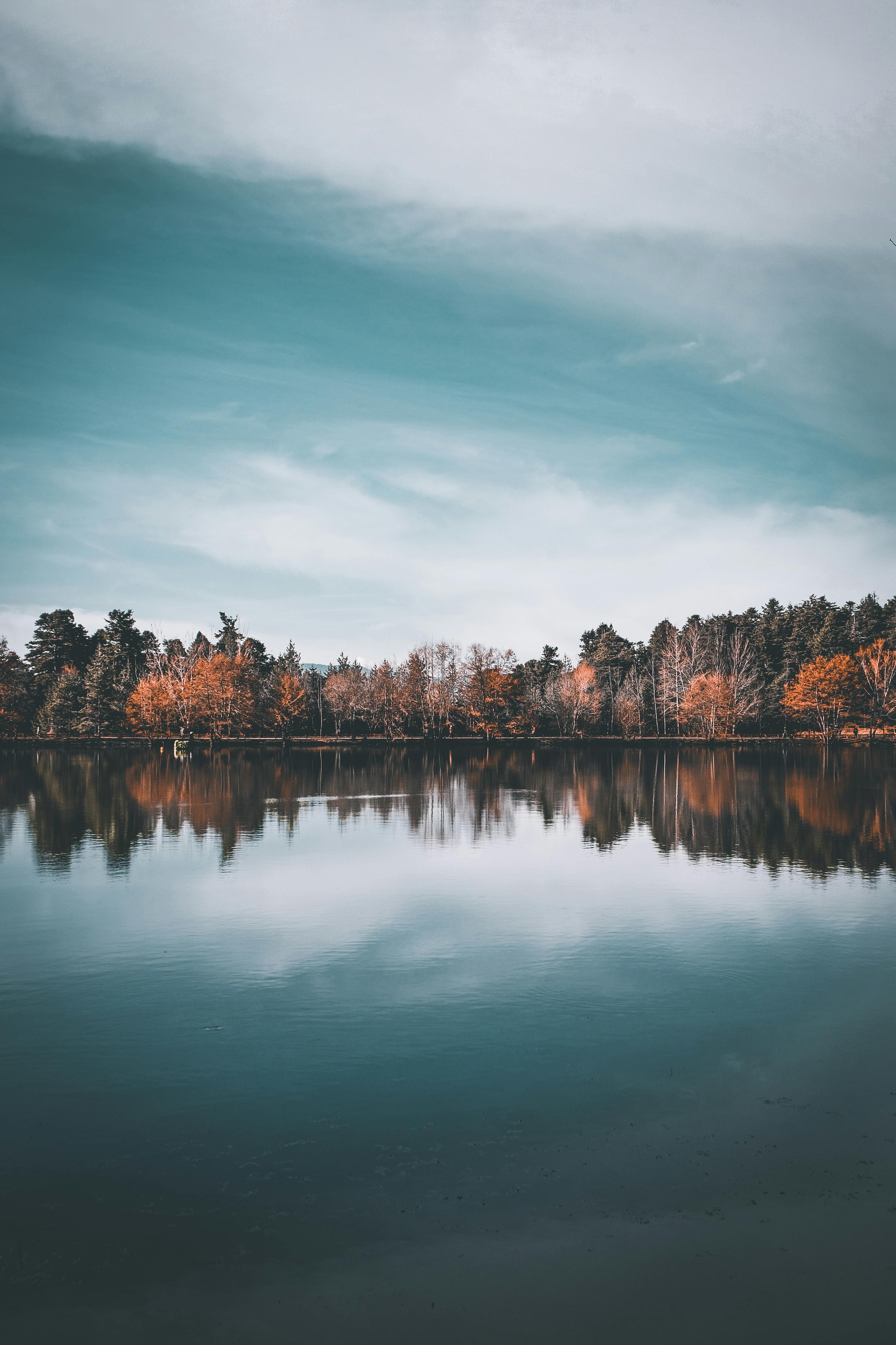 Fall Forest near Blue Lake · Free Stock Photo