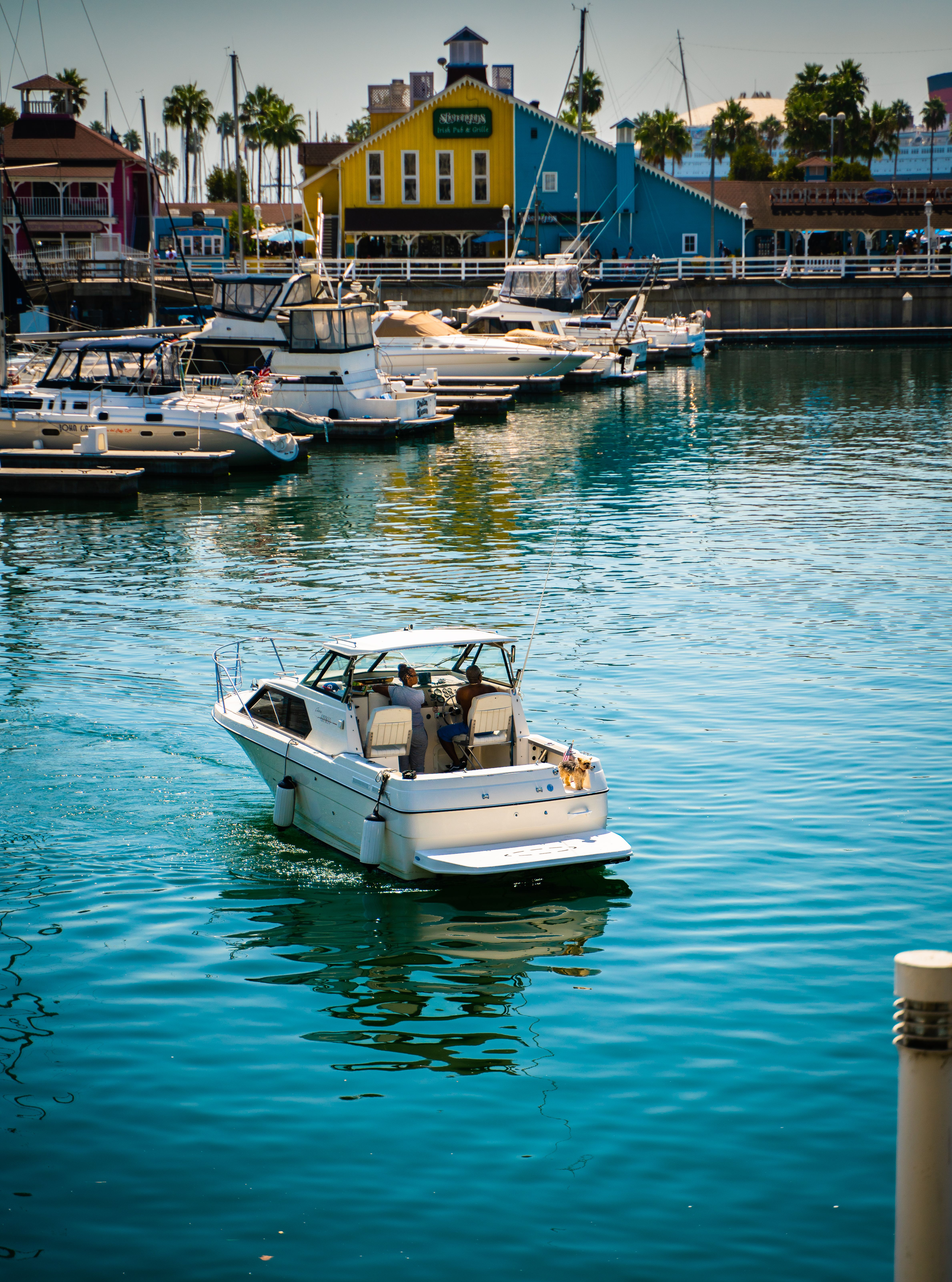 People Riding a Boat on Body of Water · Free Stock Photo