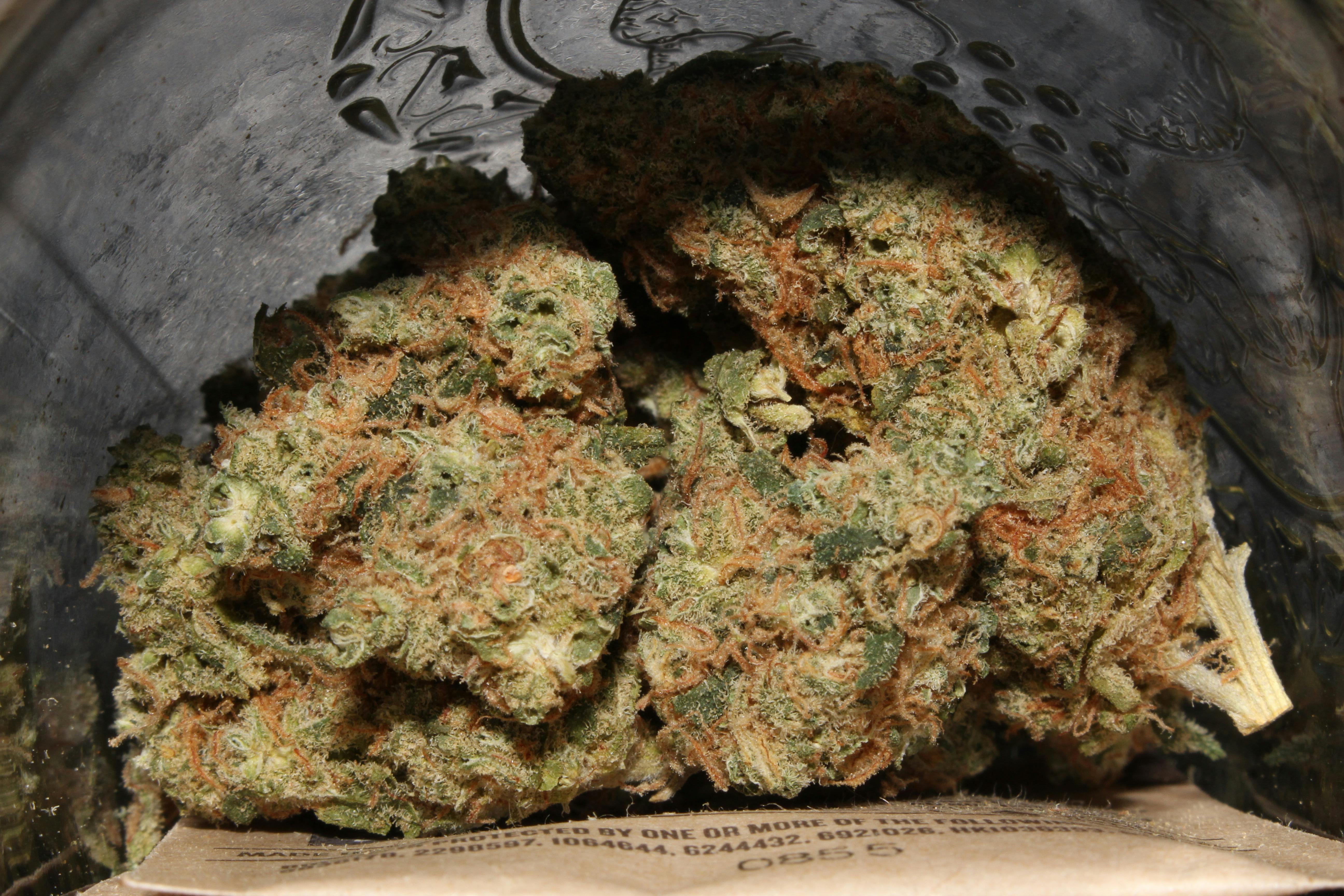 Free stock photo of 420, bud, cannabis