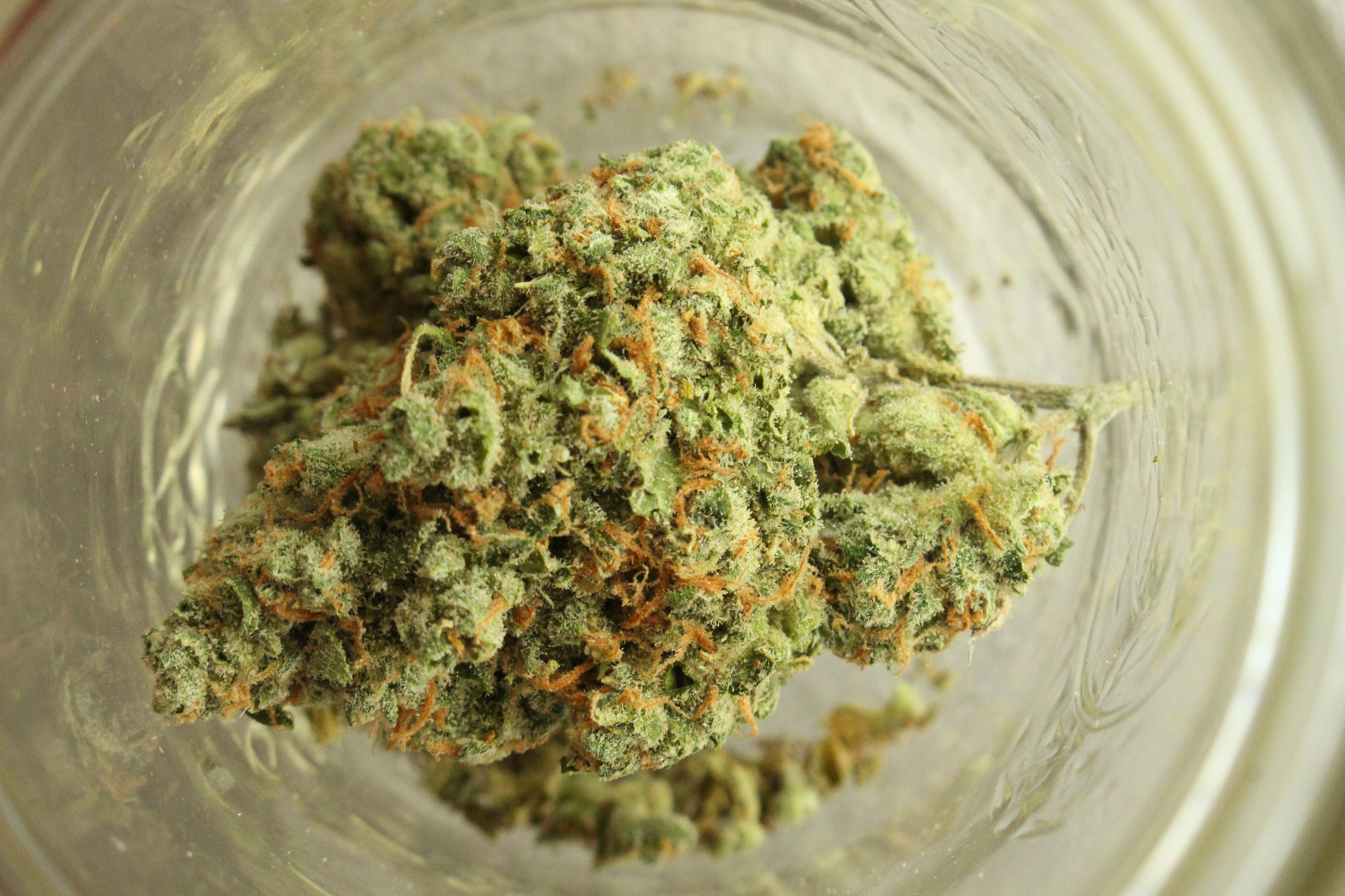 Free stock photo of 420, bud, cannabis