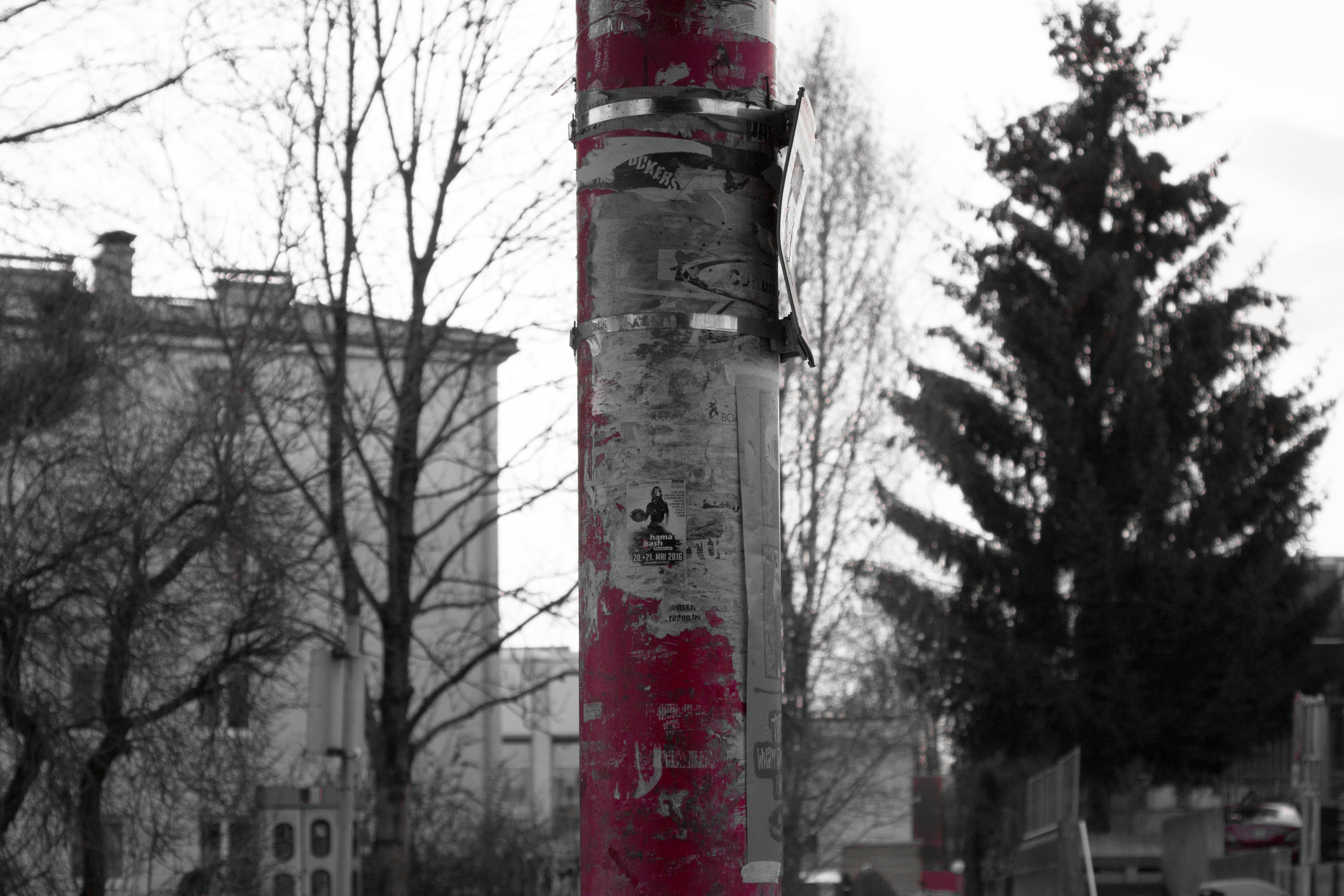 Dalv KFMN · Fotografia