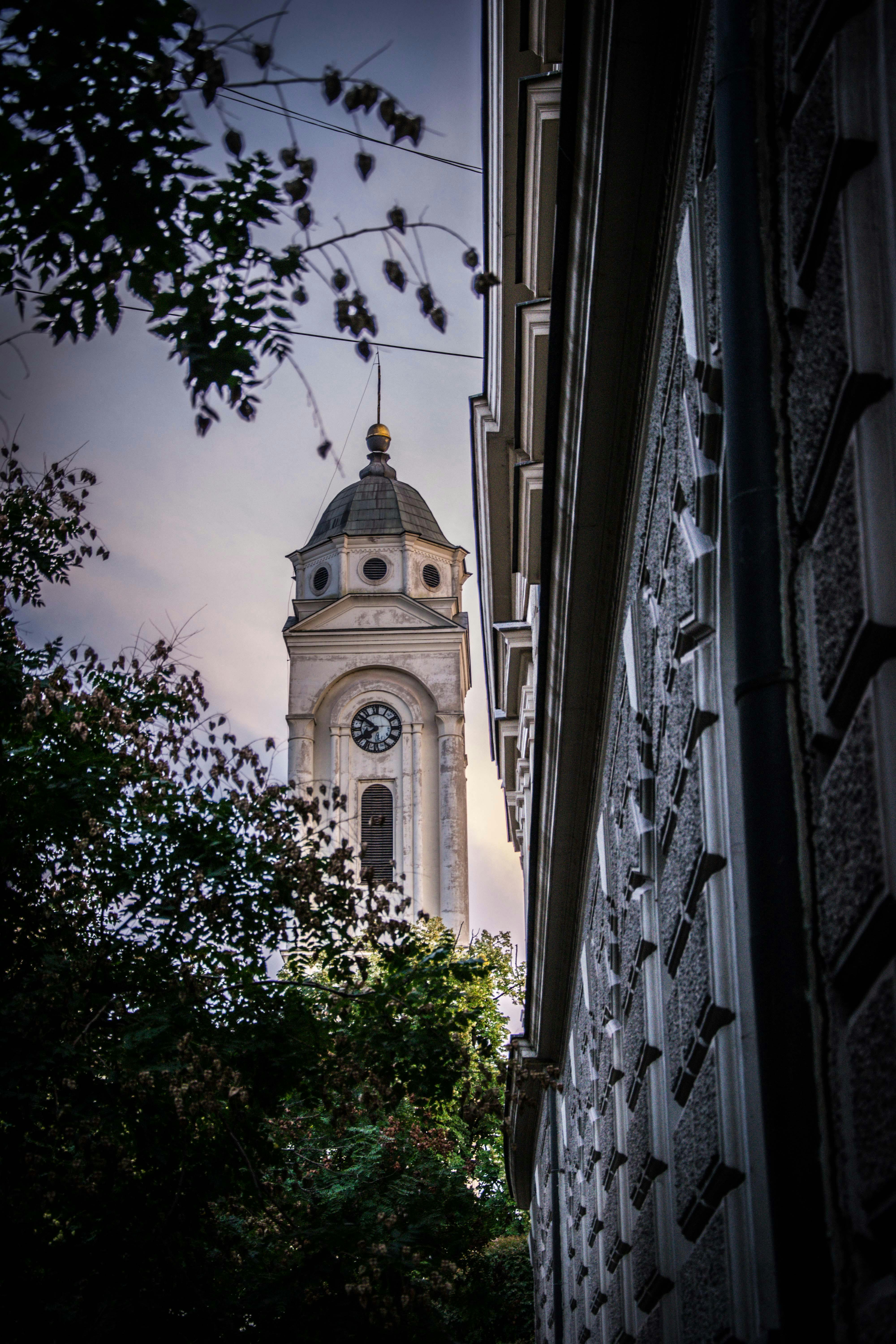 Nenad Savic - 摄影