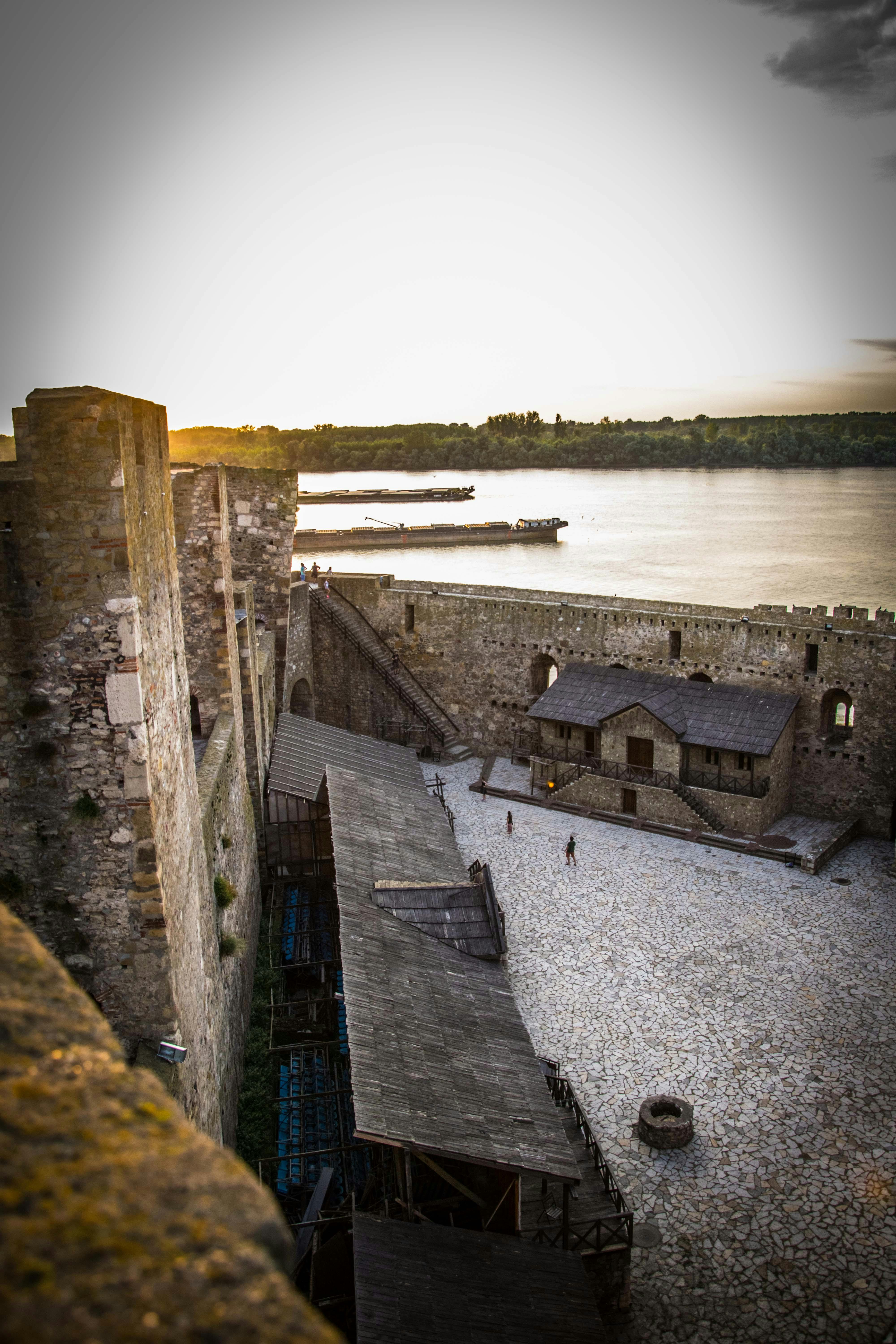 Nenad Savic – Fotografia