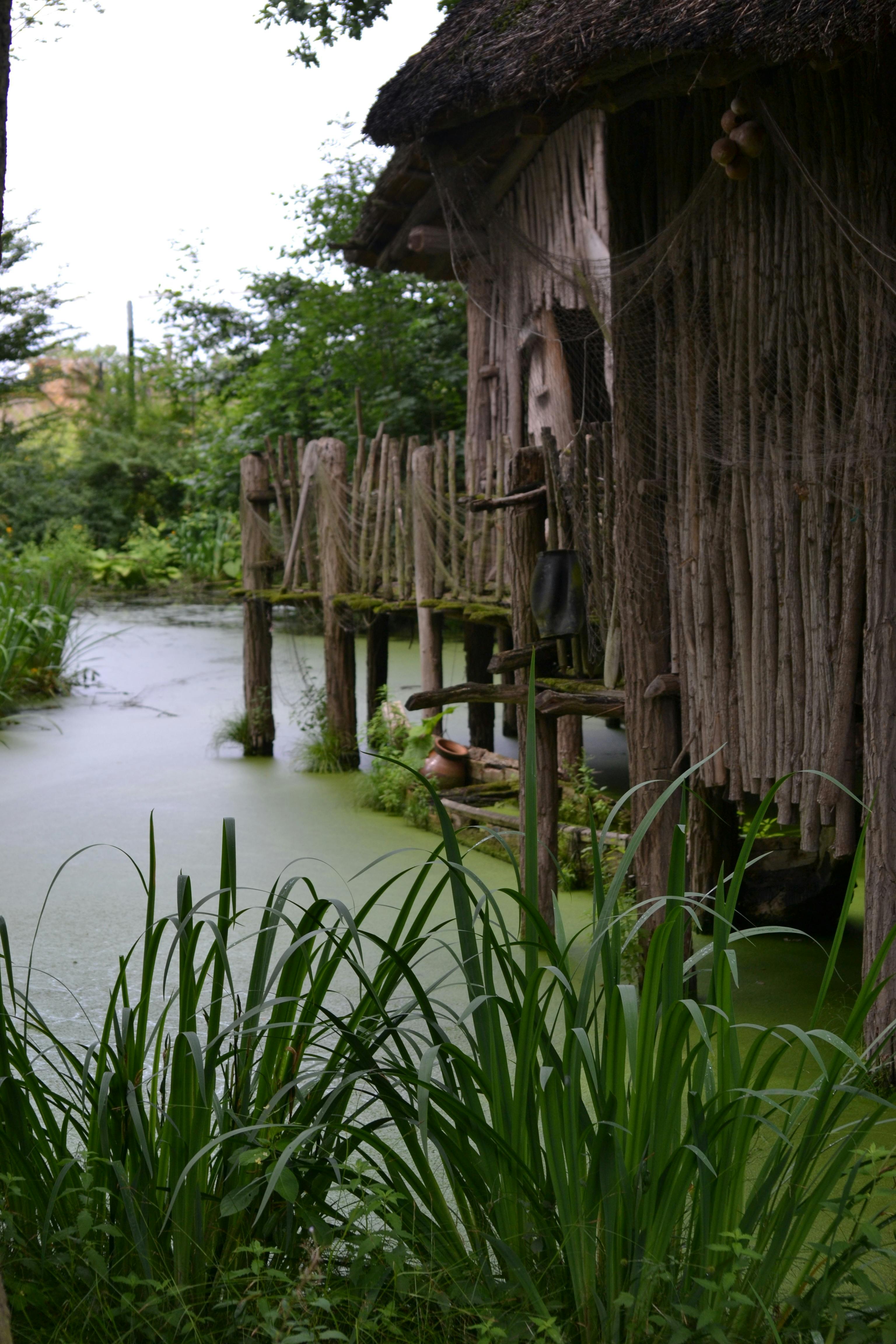 Free stock photo of africa, hut, marsh