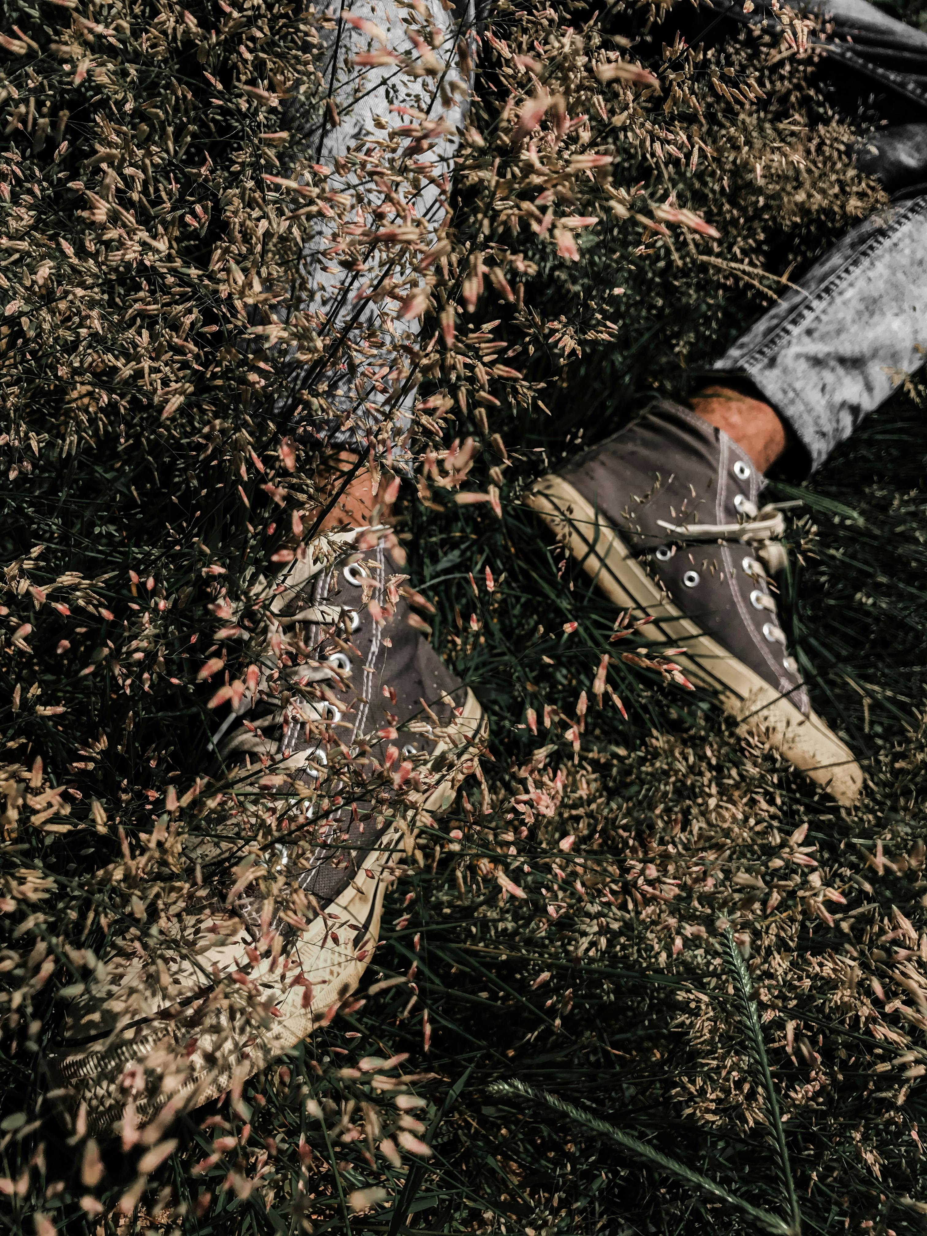 Hanging Yellow Converse High-top Sneakers · Free Stock Photo