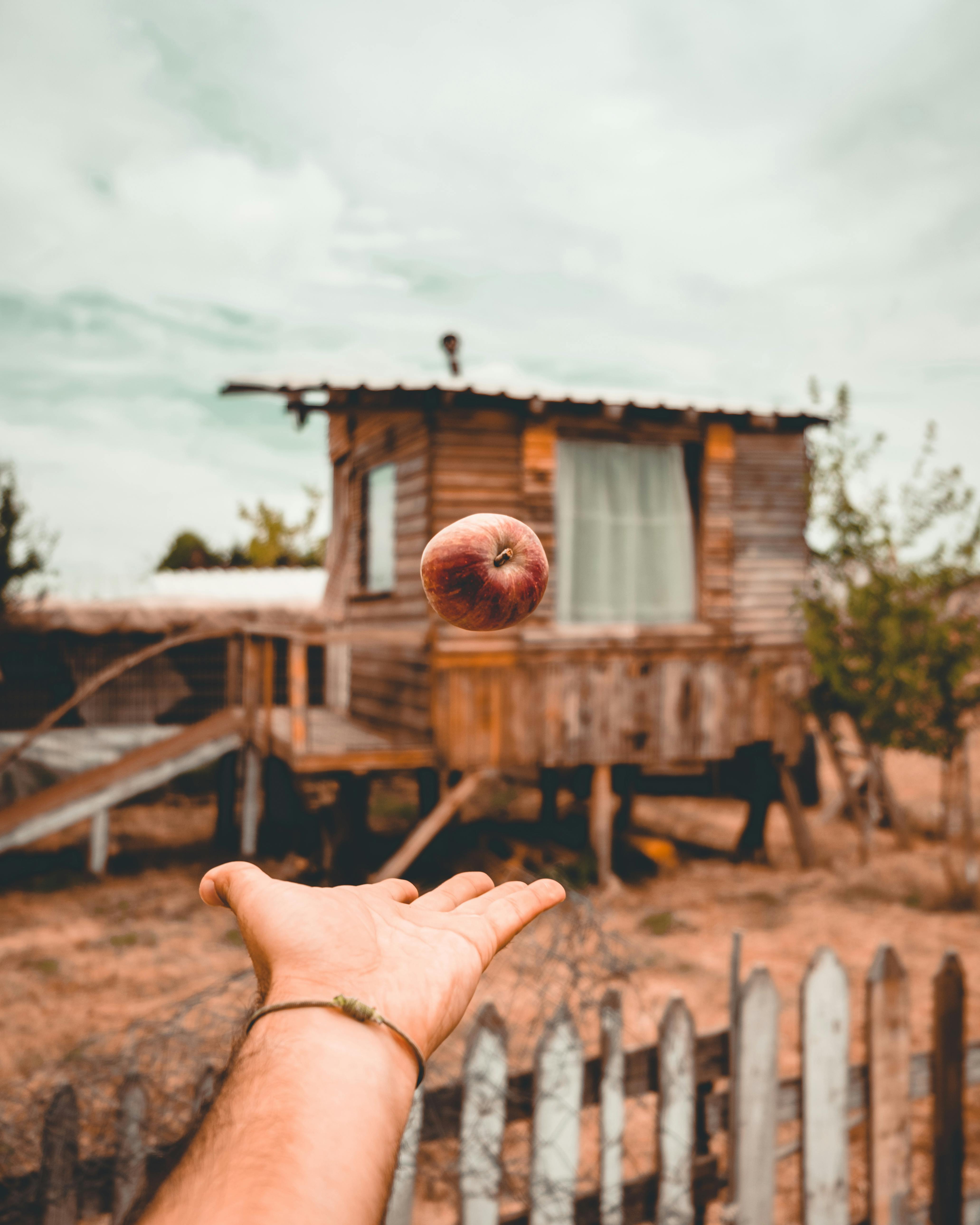 A Person Catching an Apple · Free Stock Photo