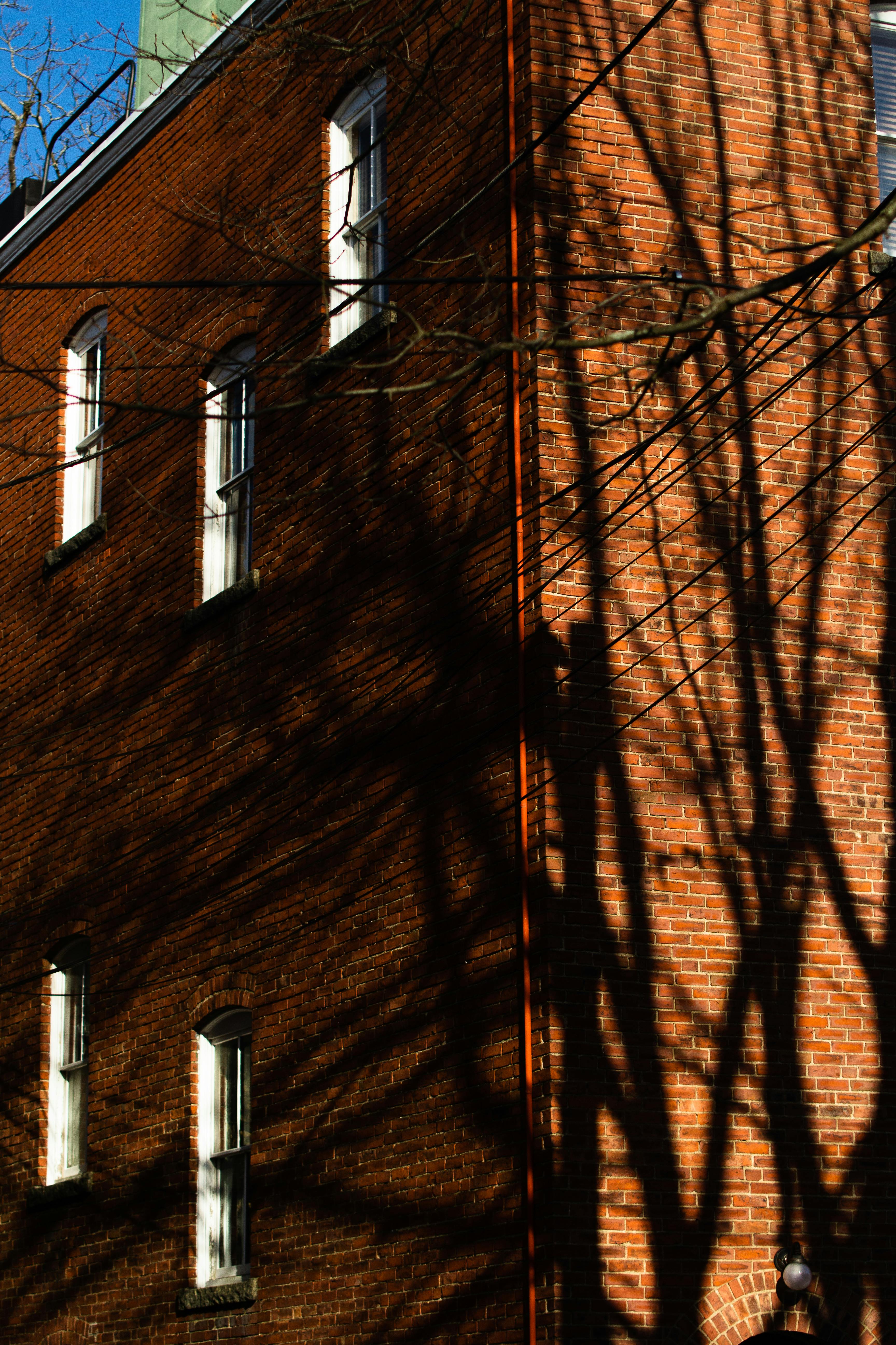Residential Building with Shadow of Tree · Free Stock Photo